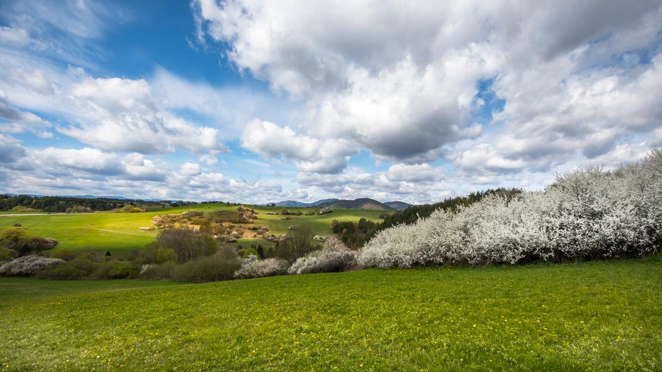 Landscape View Nature free image download