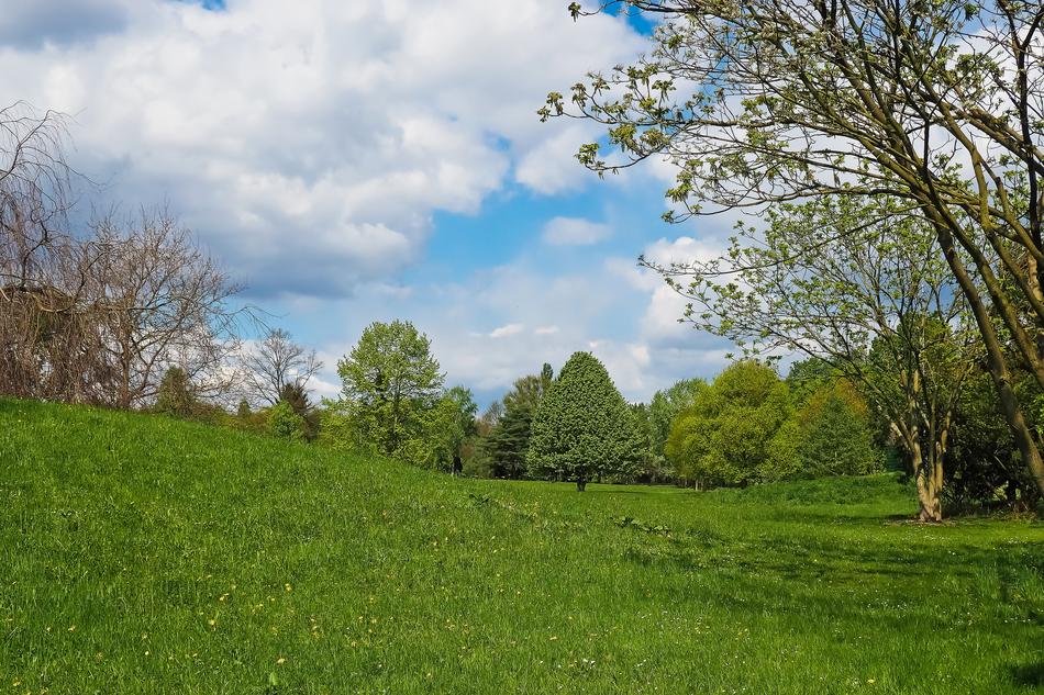 Landscape Field Nature free image download