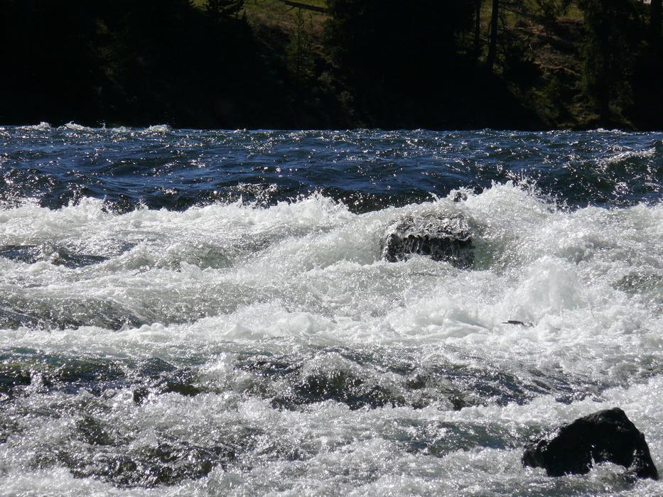 Wild Water Nature free image download