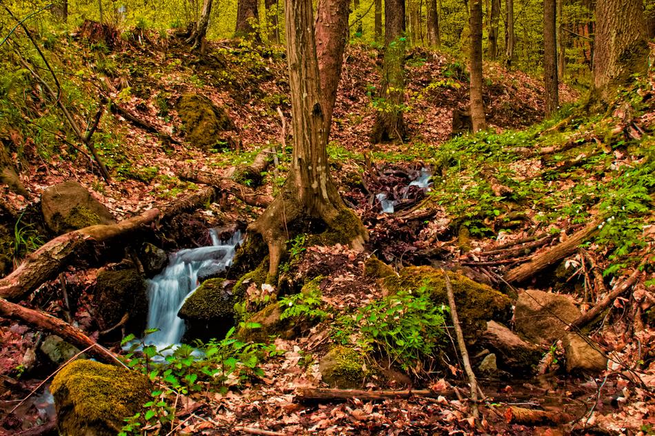 Spring The Creek Water free image download