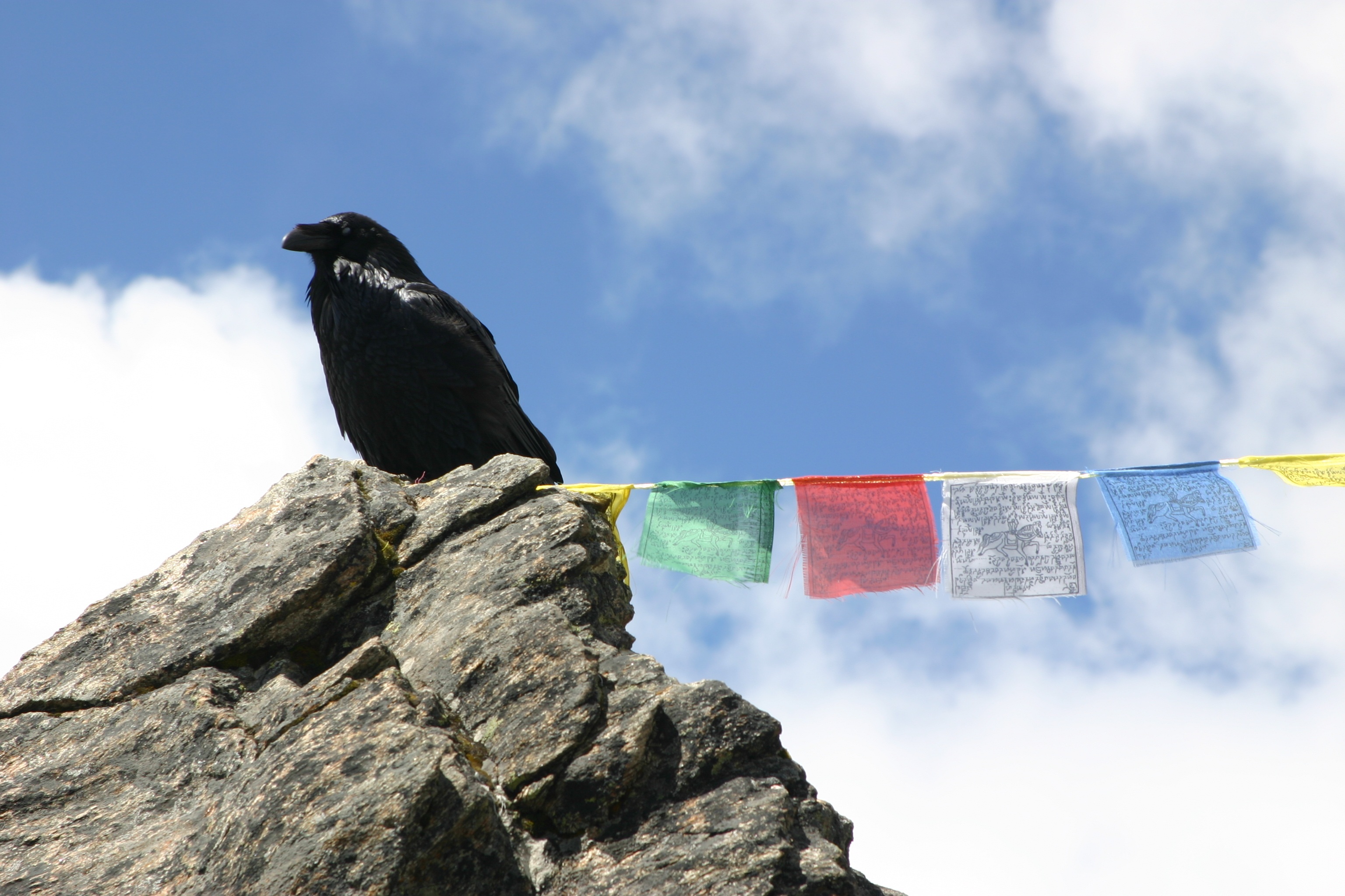 Raven Nepal Mountain Prayer free image download