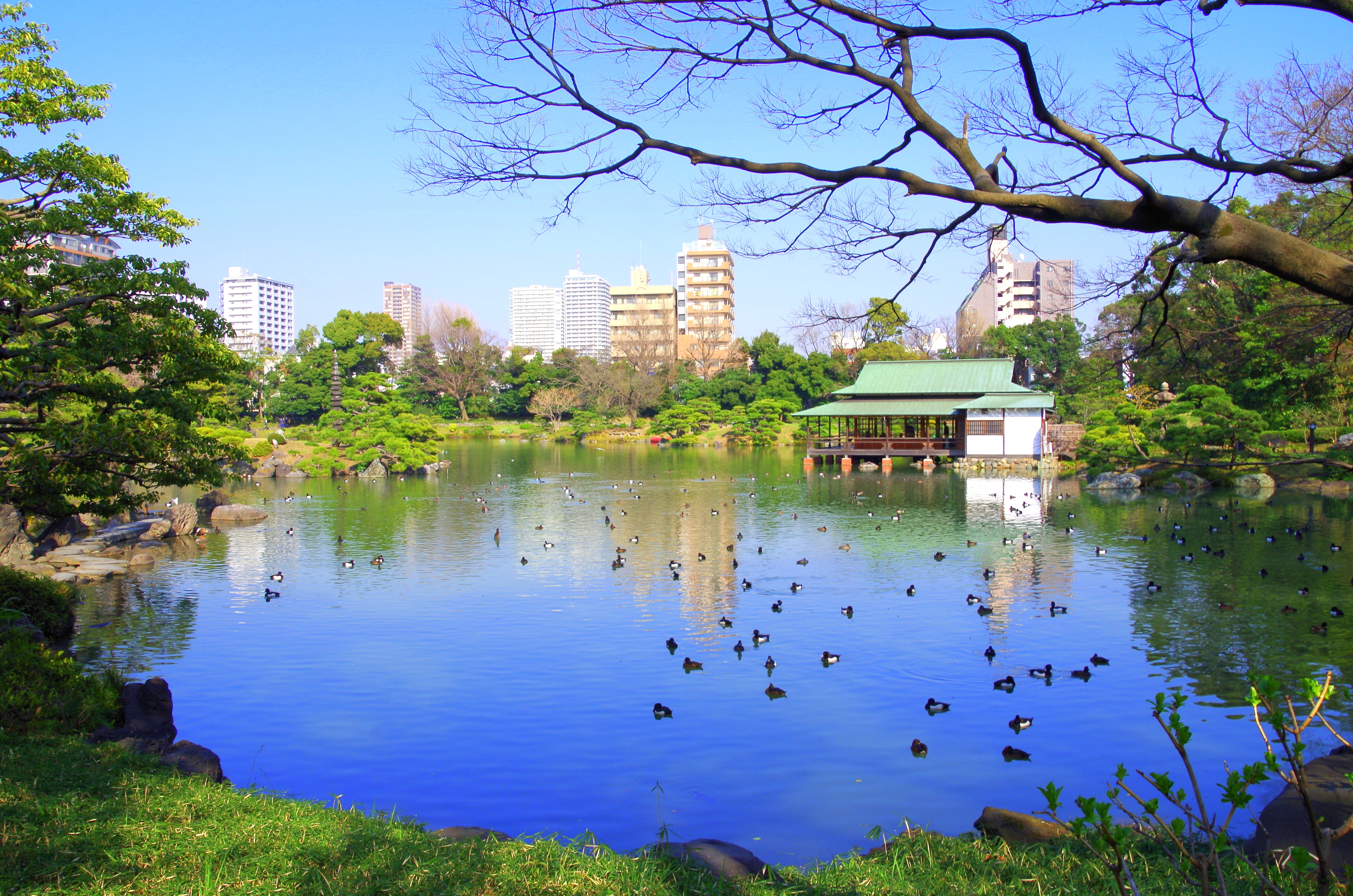 Lake Japan view free image download
