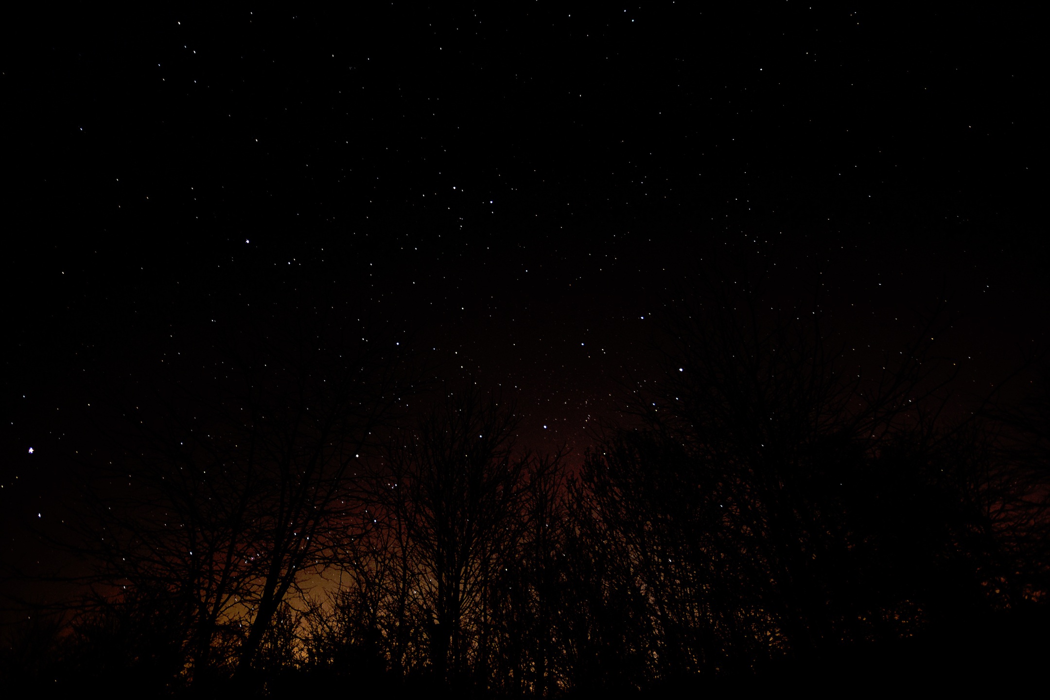 Nature Black Dark free image download