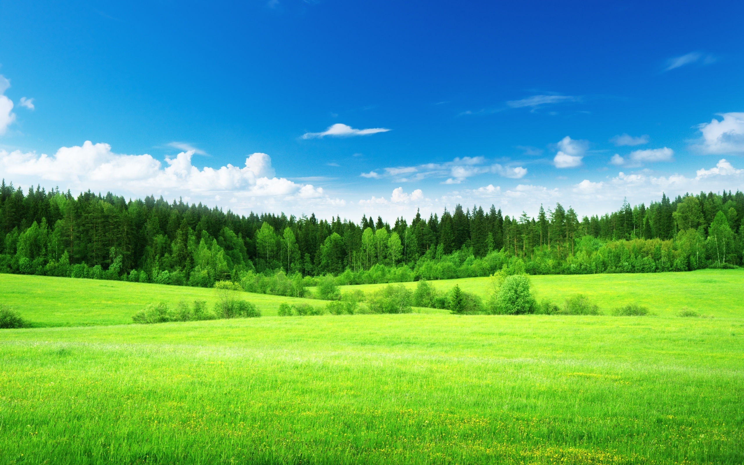 Sky Field free image download