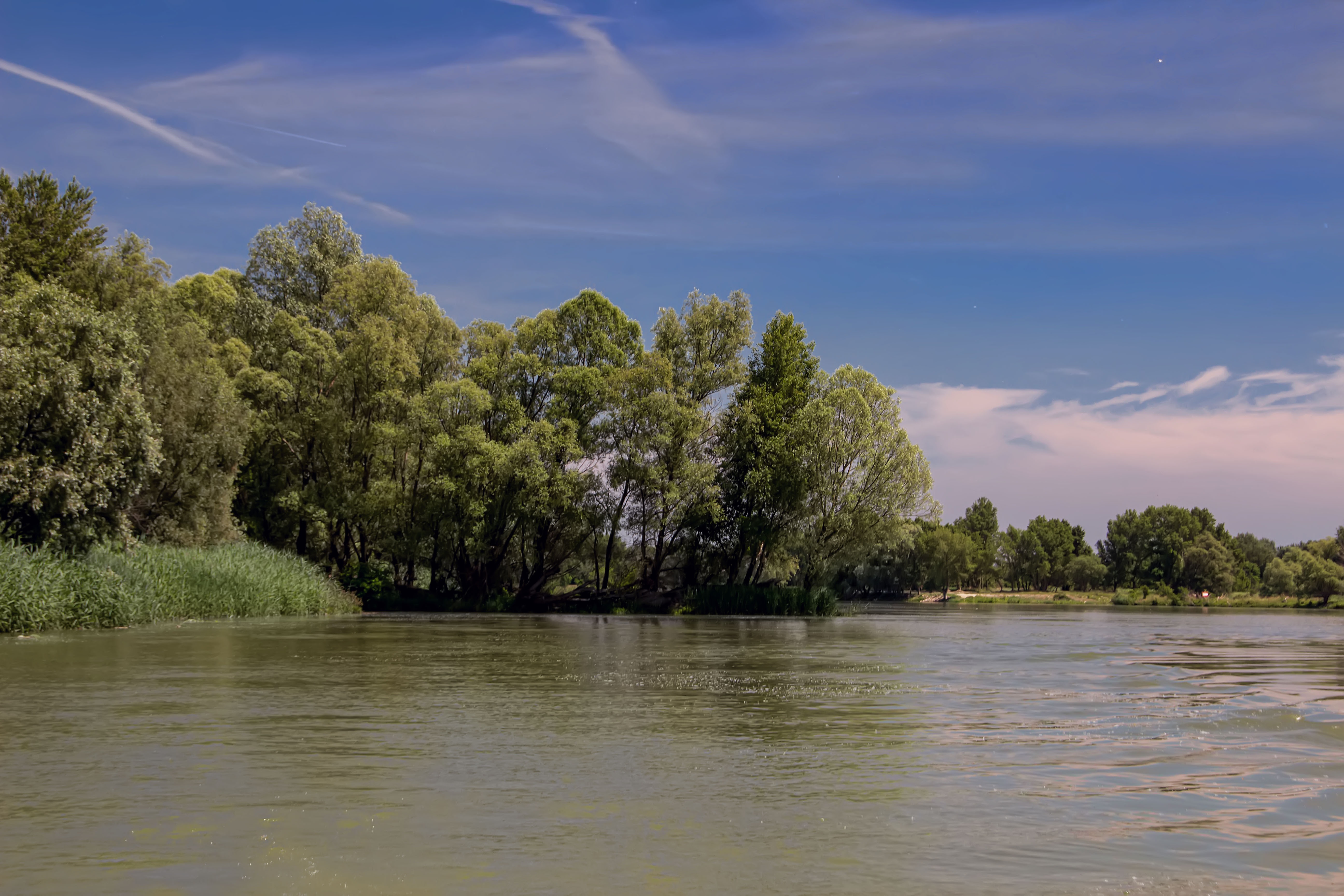 Danube Slovakia Nature free image download