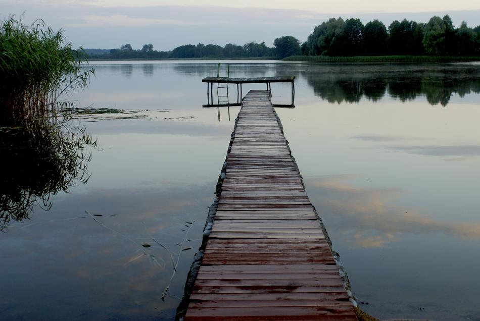 Wooden bridge by the lake free image download