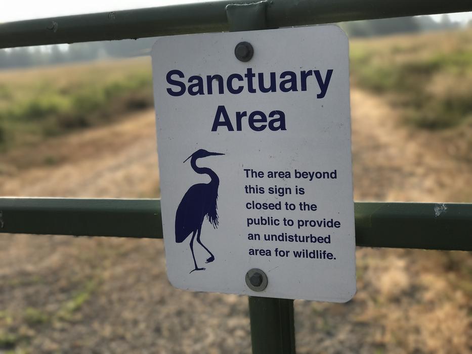 Sanctuary Wildlife Nature free image download