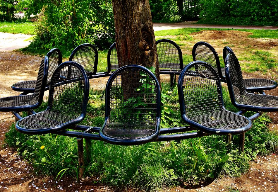 Chairs near the tree free image download