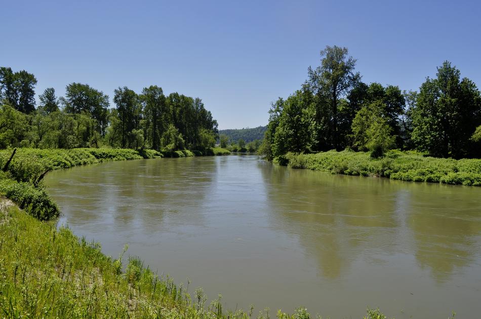 River Nature Green free image download