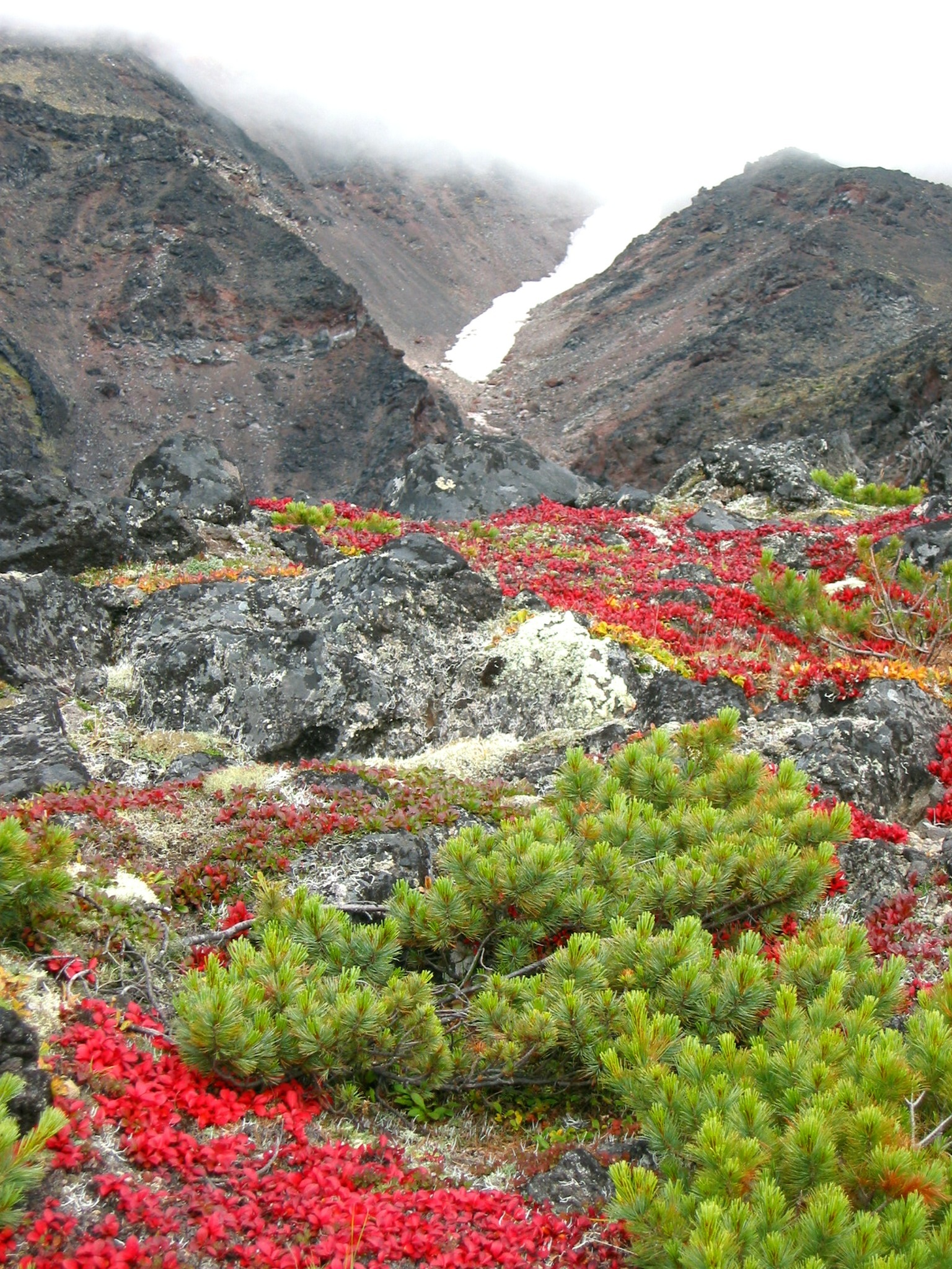 Autumn Mountains Volcano The free image download