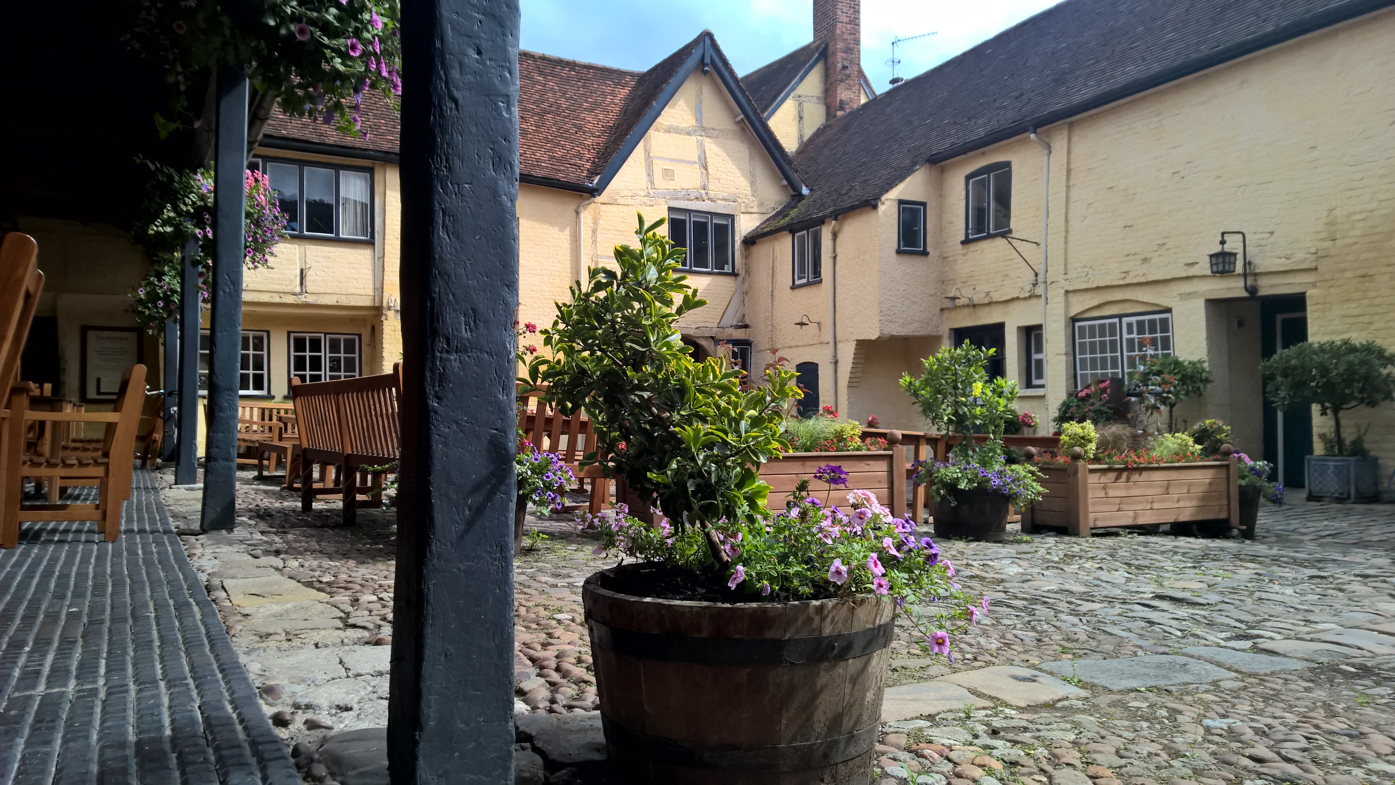 Pub Courtyard Plant Decoration free image download