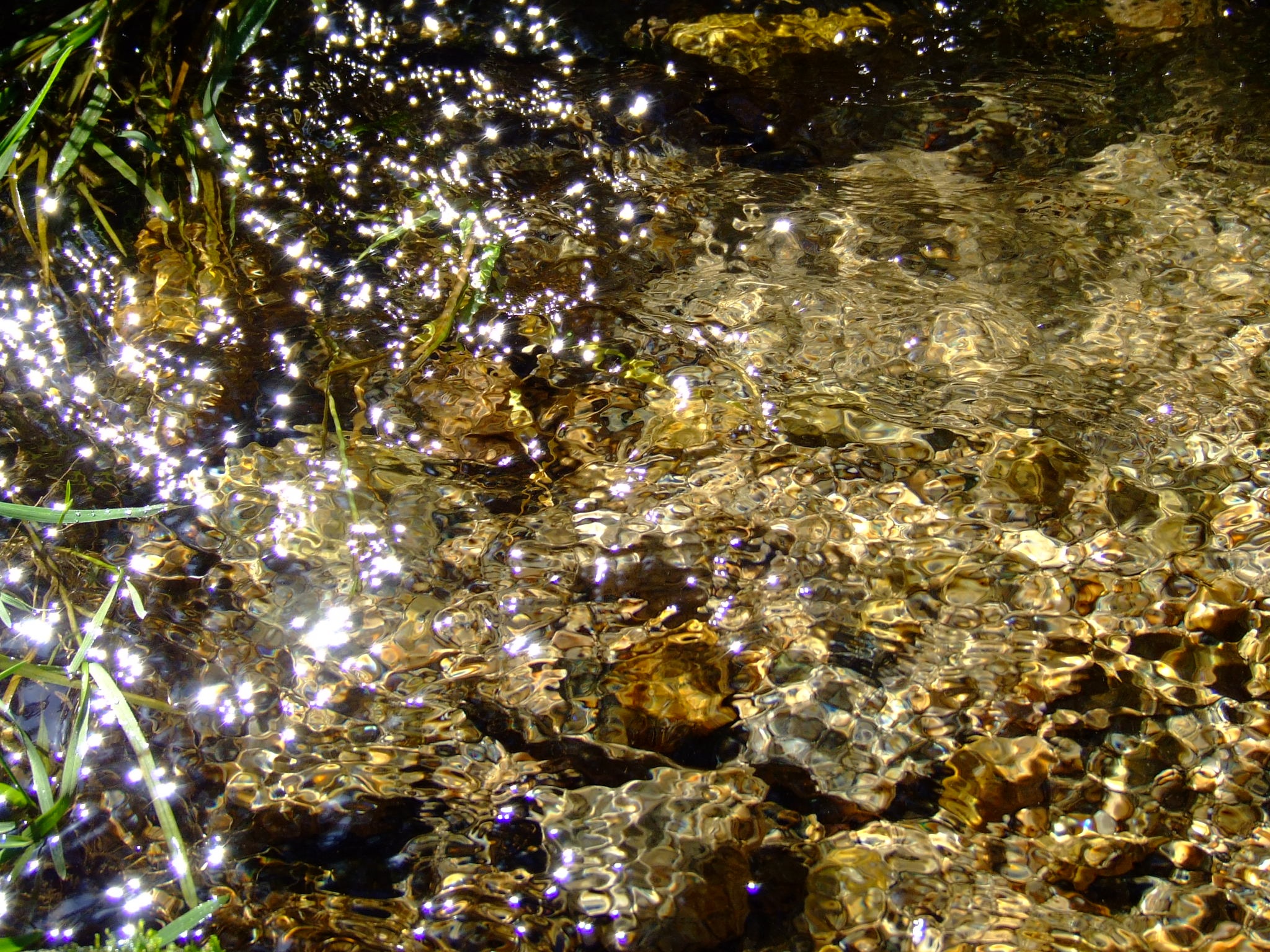 Water Stream free image download