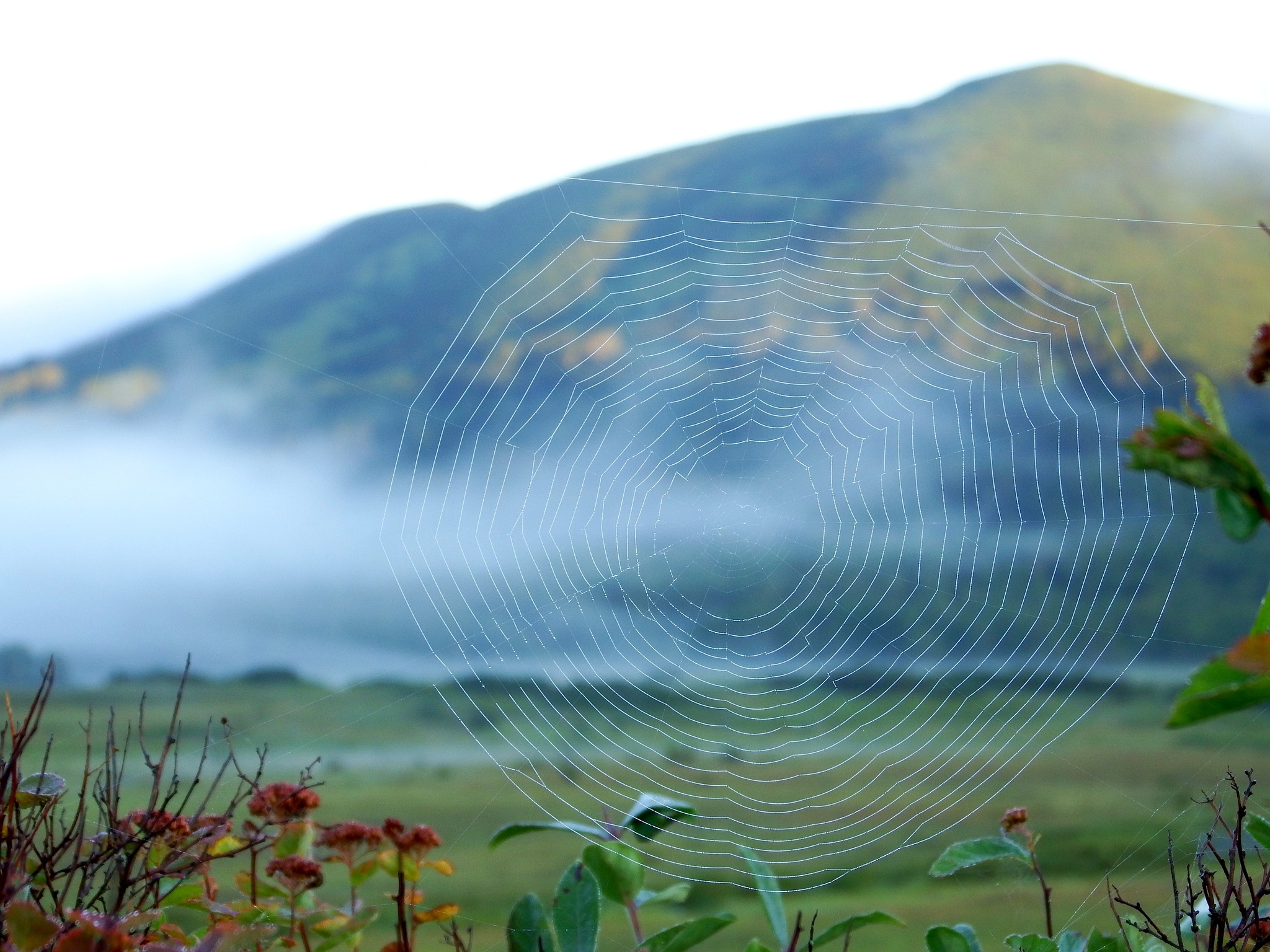 Mountains Lake Morning free image download