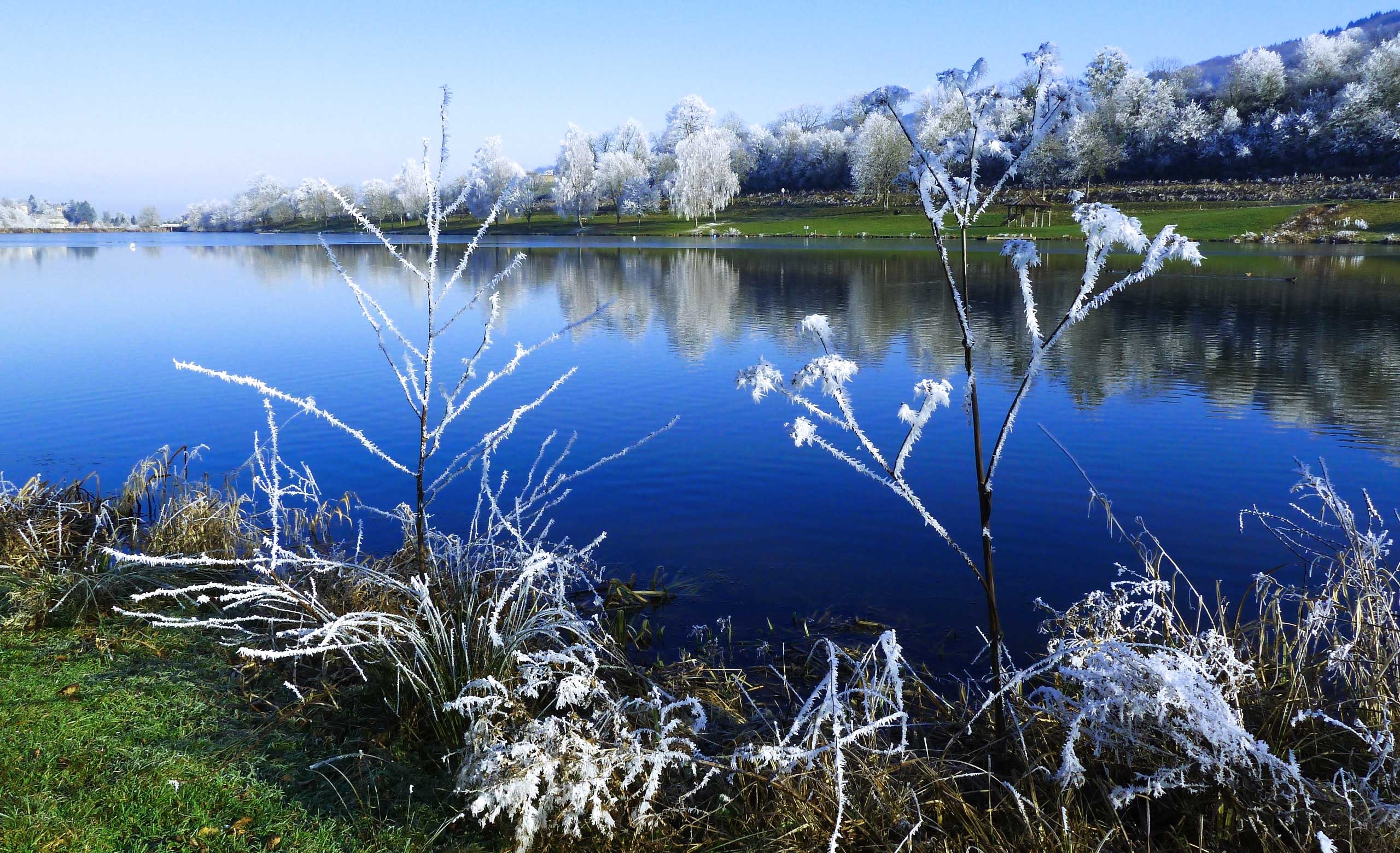 Lake Winters Winter Landscape free image download