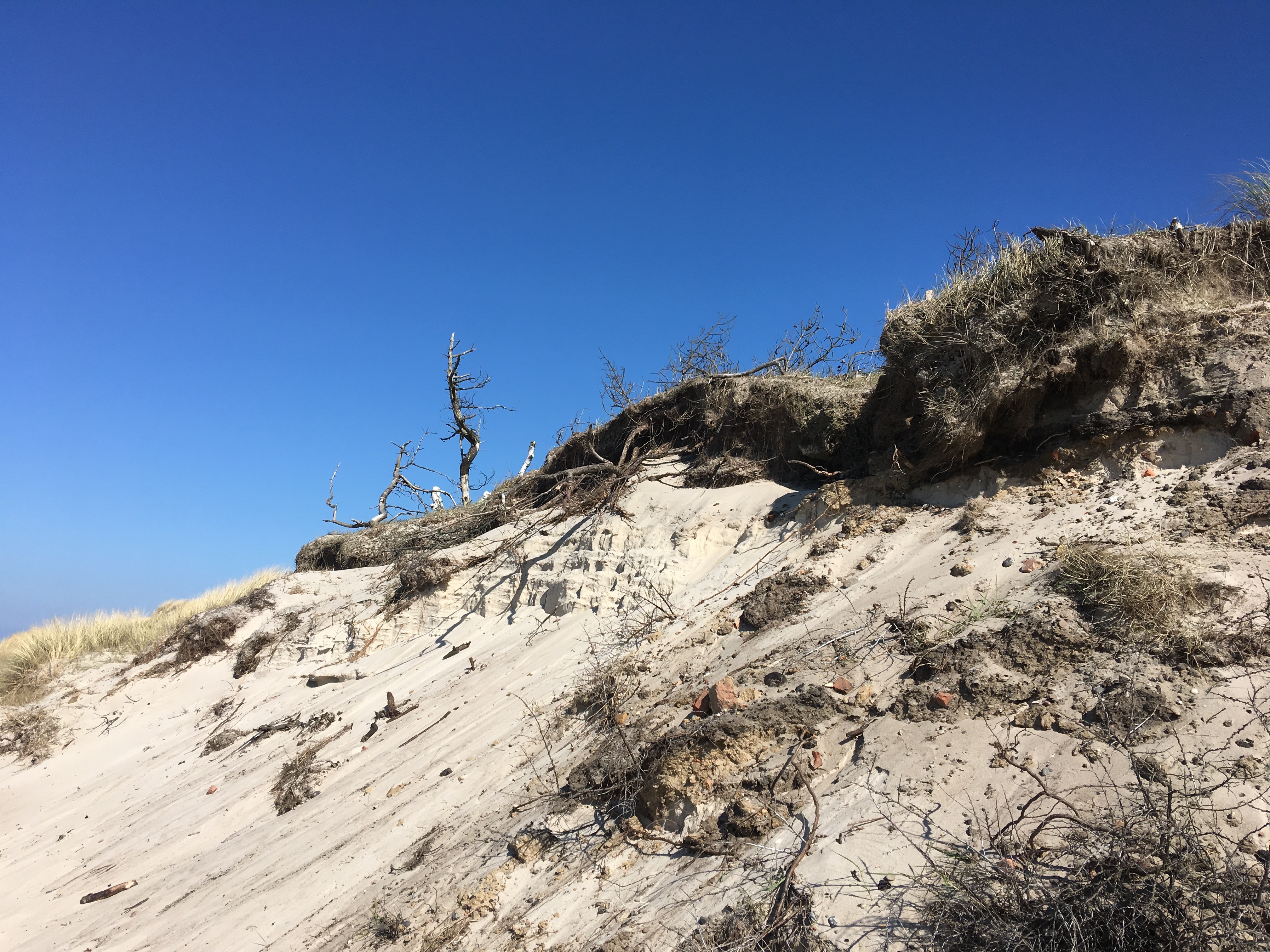 Beach Zingst Baltic sea free image download