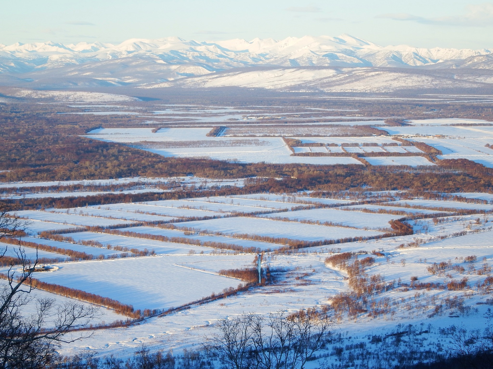 Fields Land Winter free image download