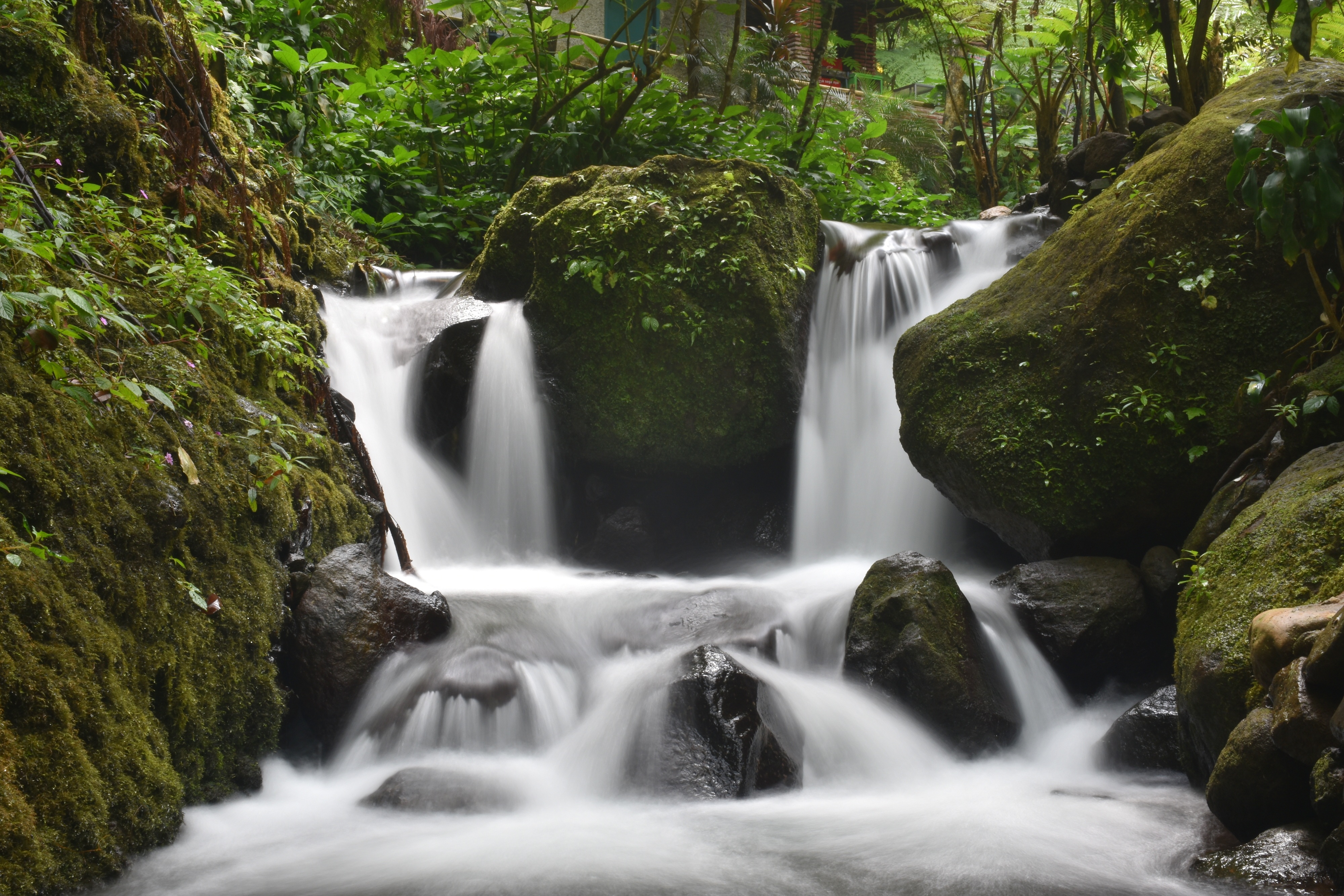 Creek Stream Waterfall free image download