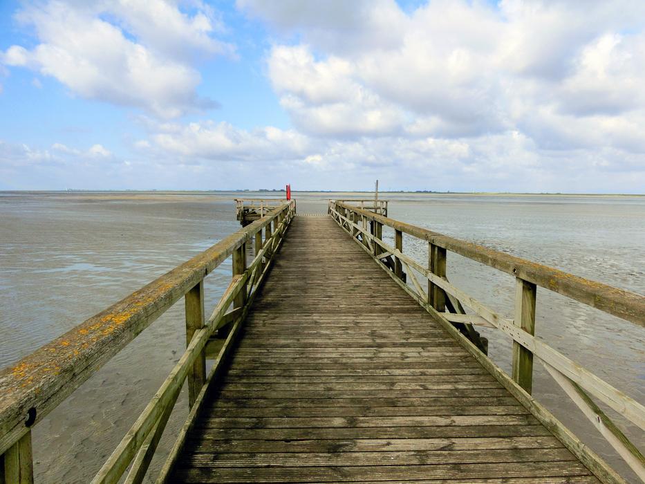 Sea Watts Web North free image download