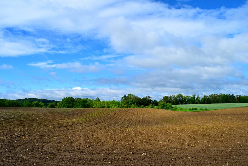 Farmland Spring Planting free image download