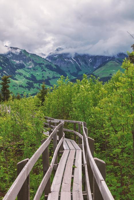Nature Web Bridge free image download
