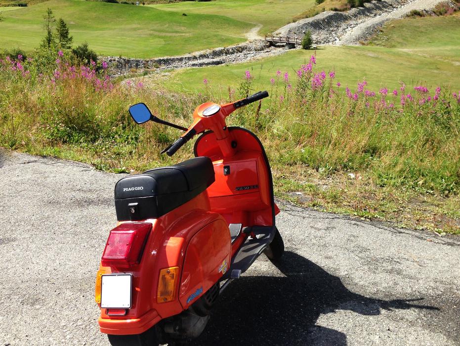 Red scooter in the wild free image download