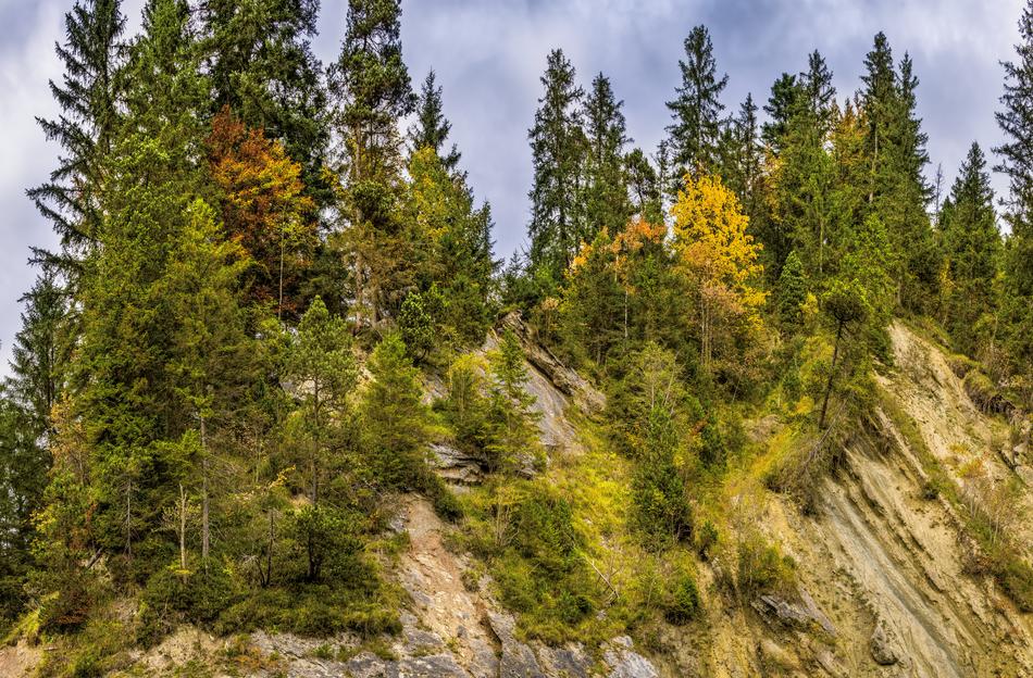 Mountain Trees Rock free image download