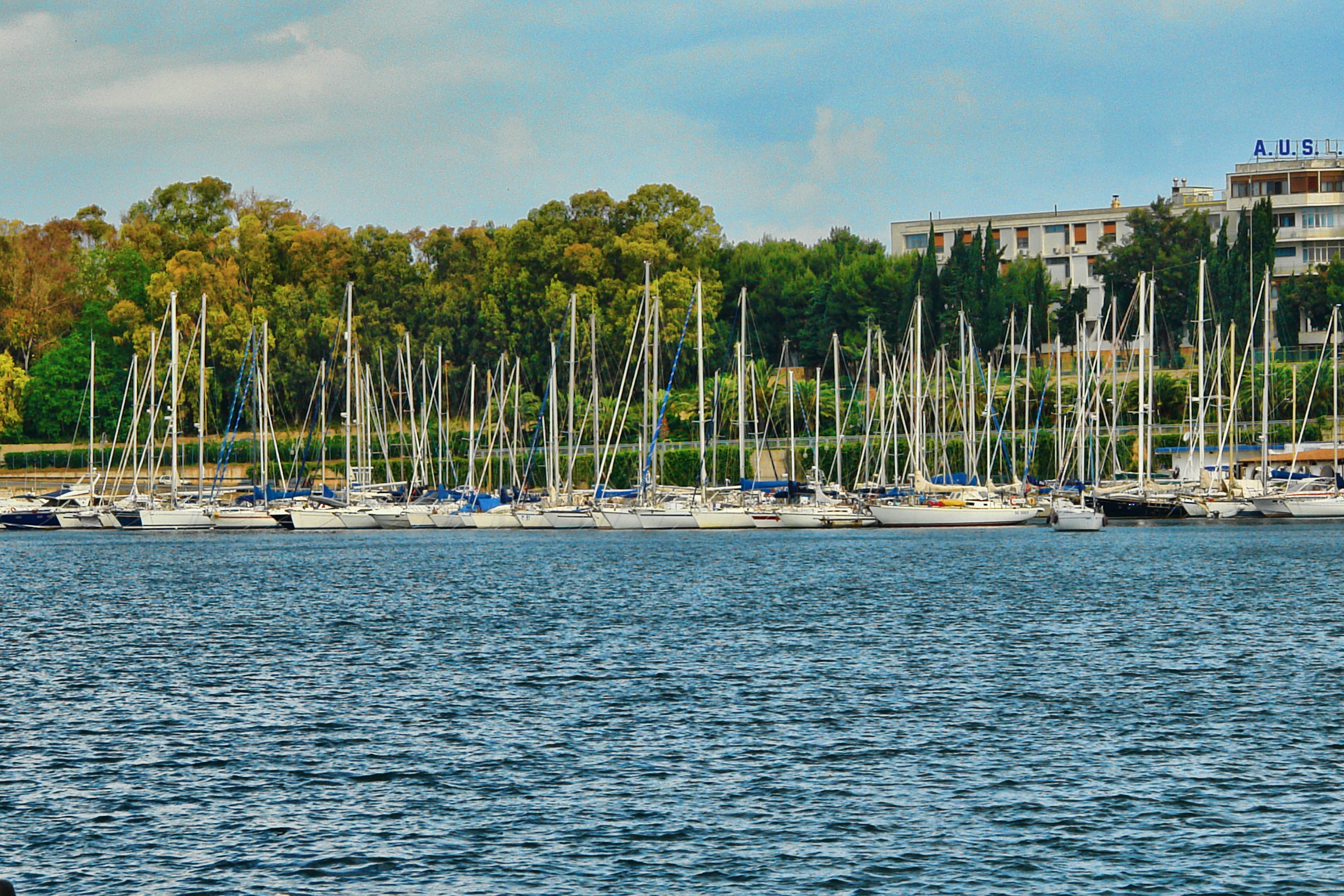 Marina Boats Sailing free image download