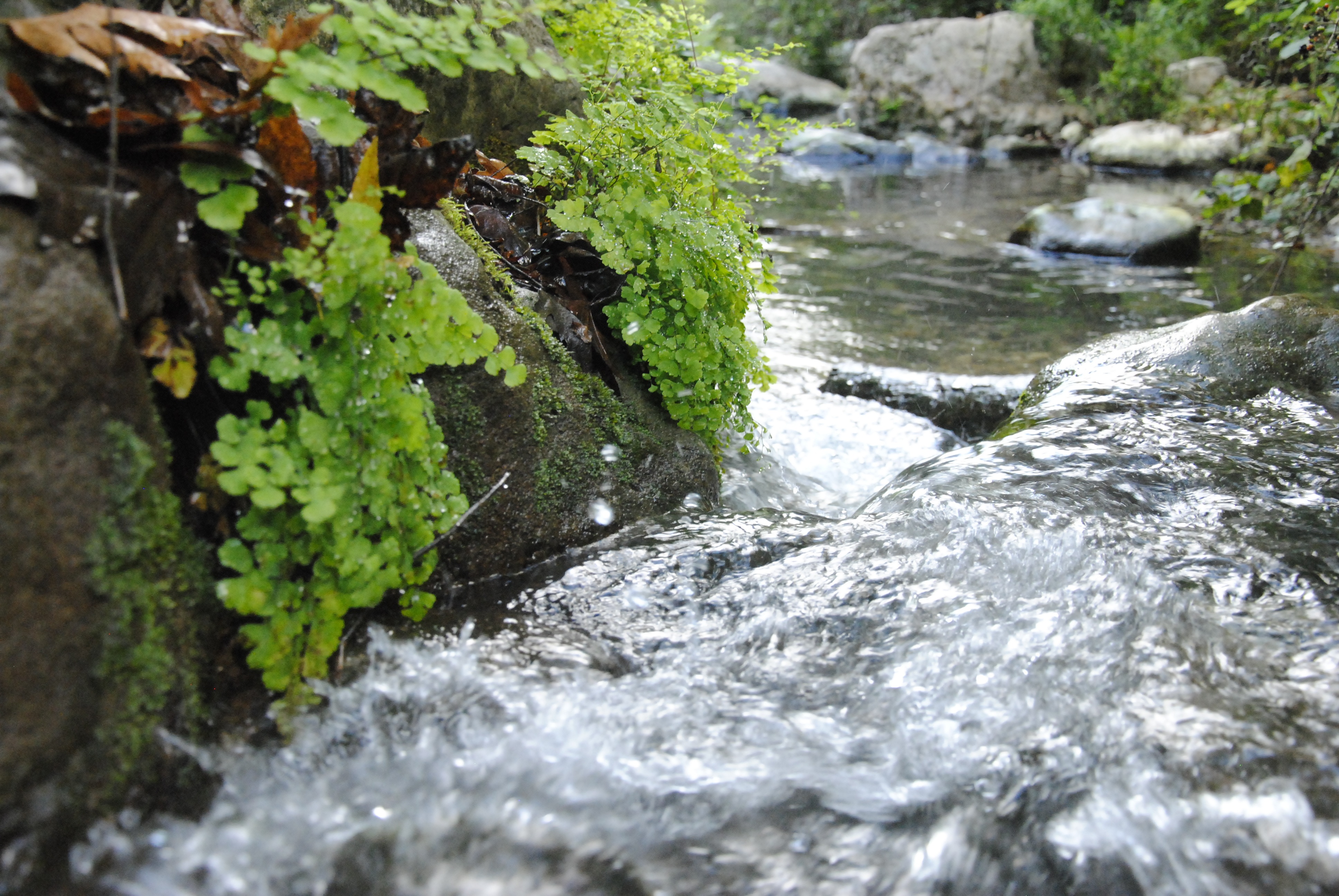 Galilee Water free image download