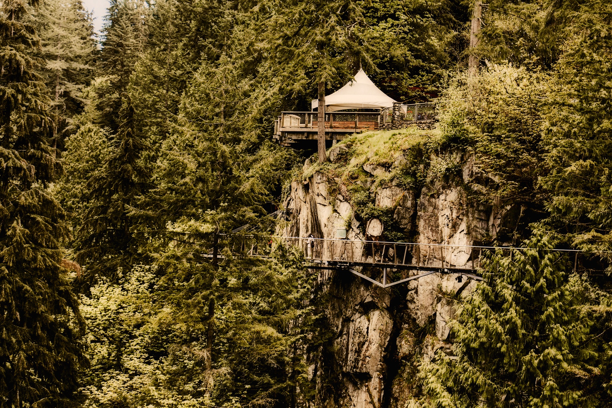 Canada Landscape Gully free image download