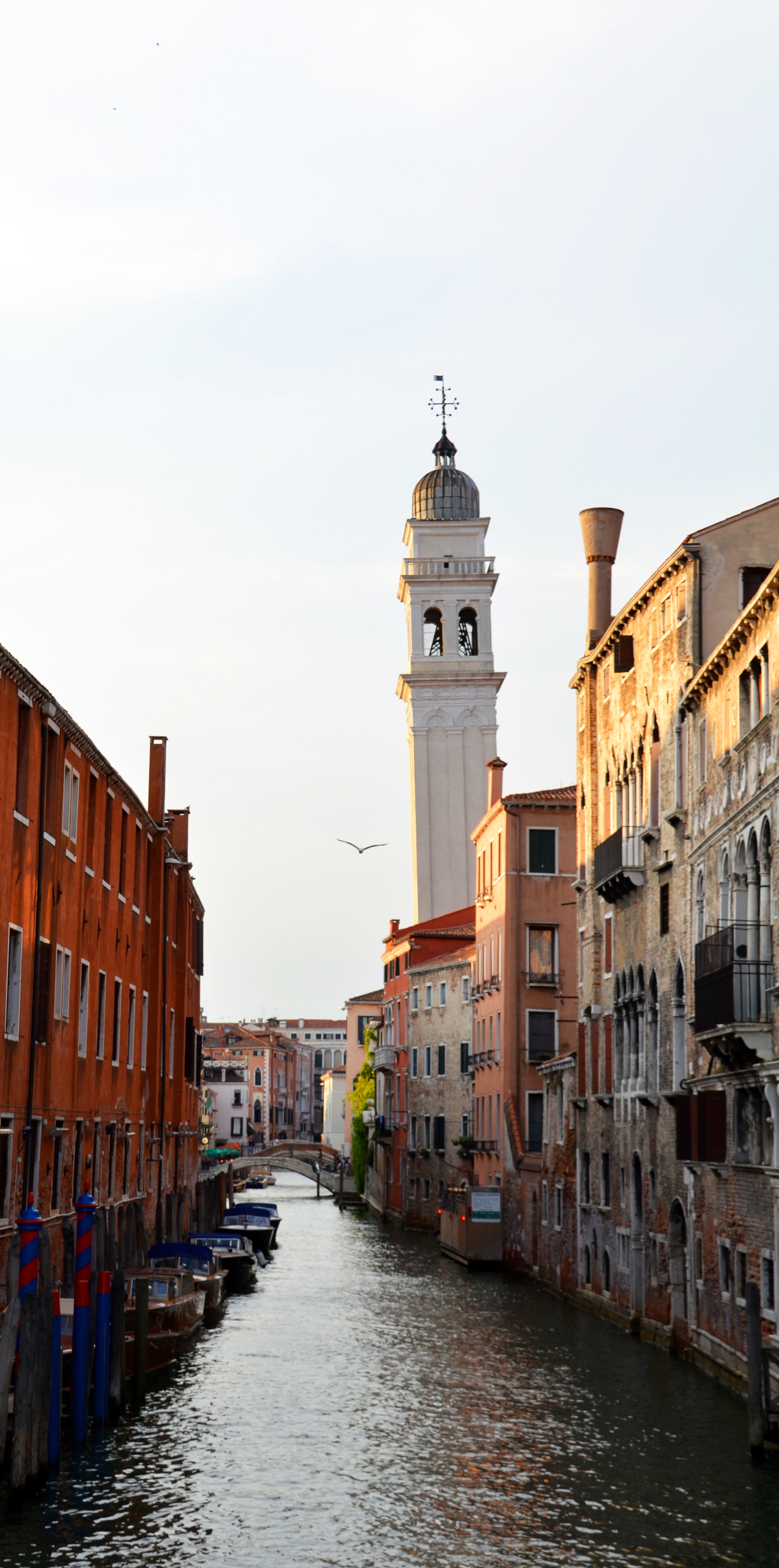 Leaning Tower Venice free image download