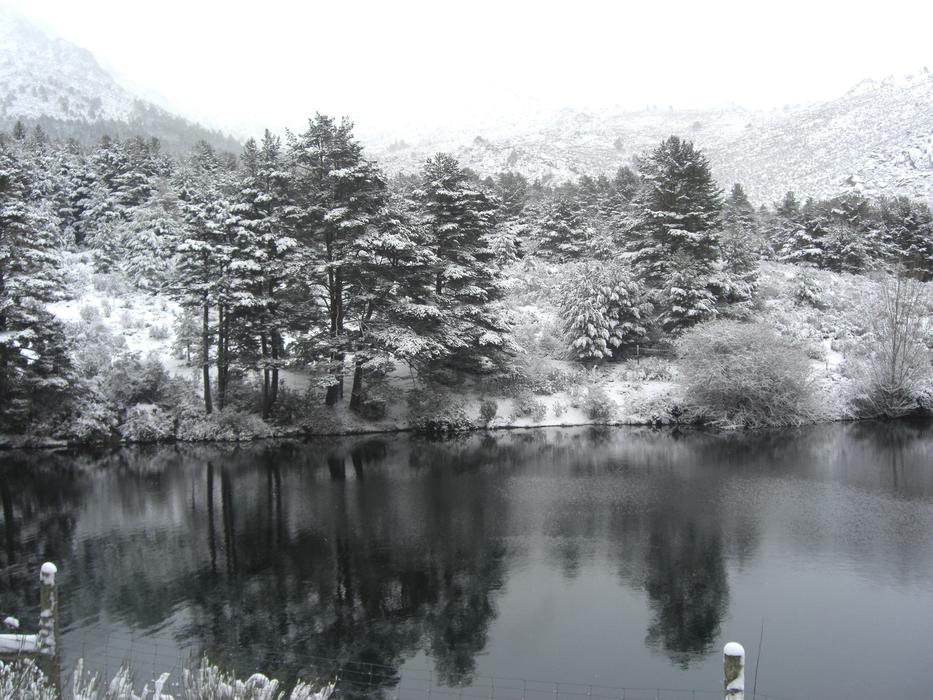 Snow Winter Lake free image download