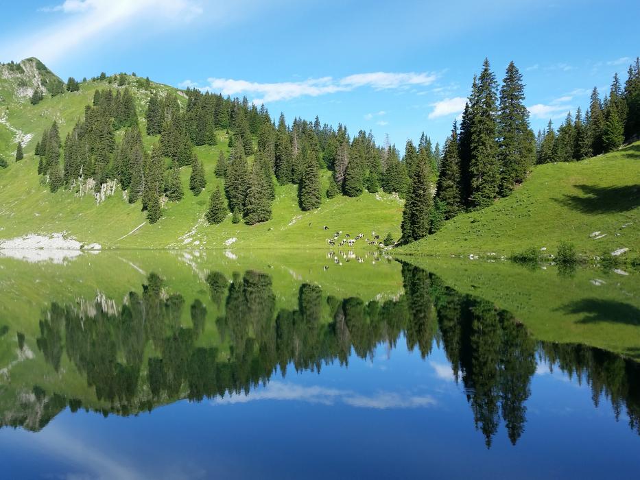 Bergsee Mountains Landscape free image download