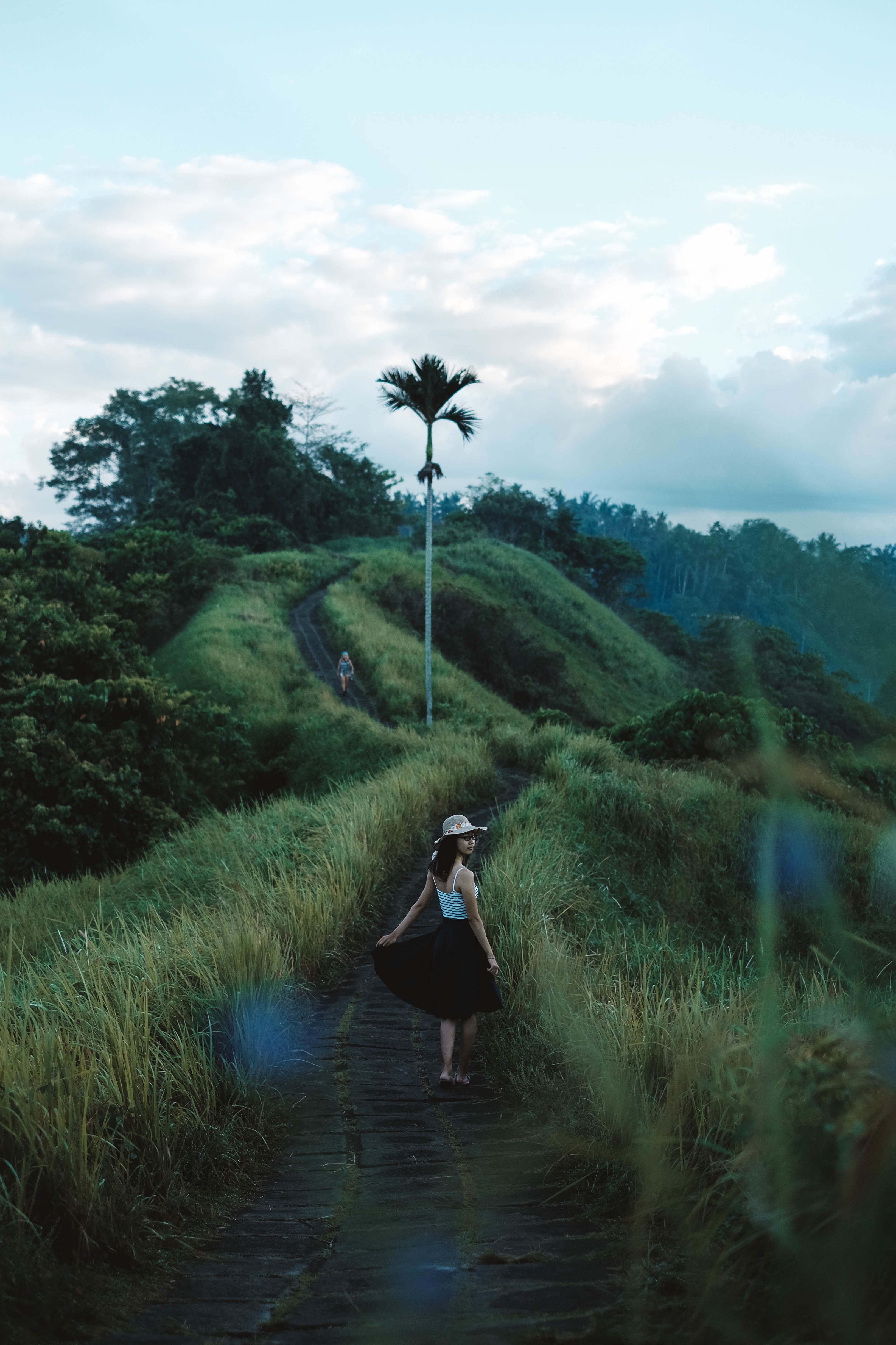 Green Grass Highland free image download