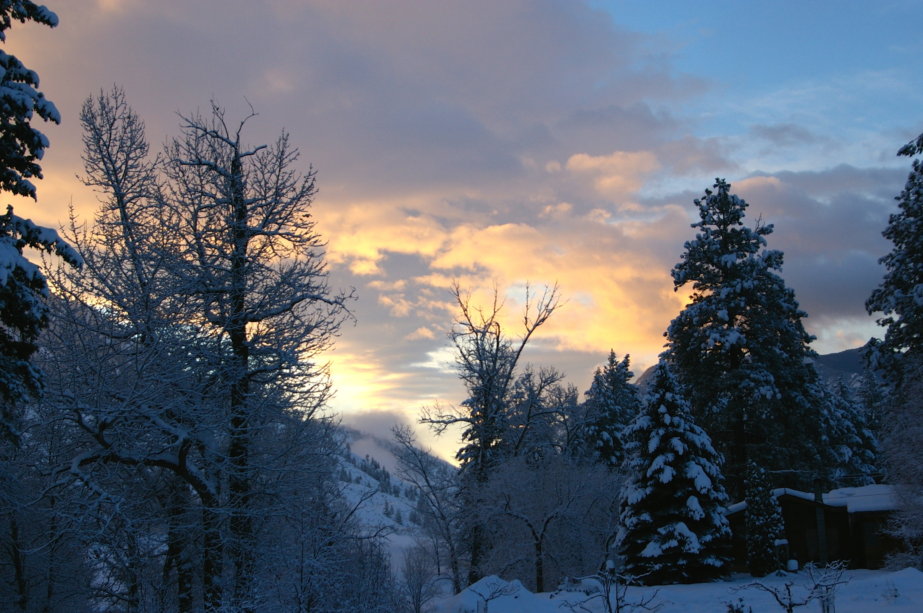 Property Nature Outdoor free image download