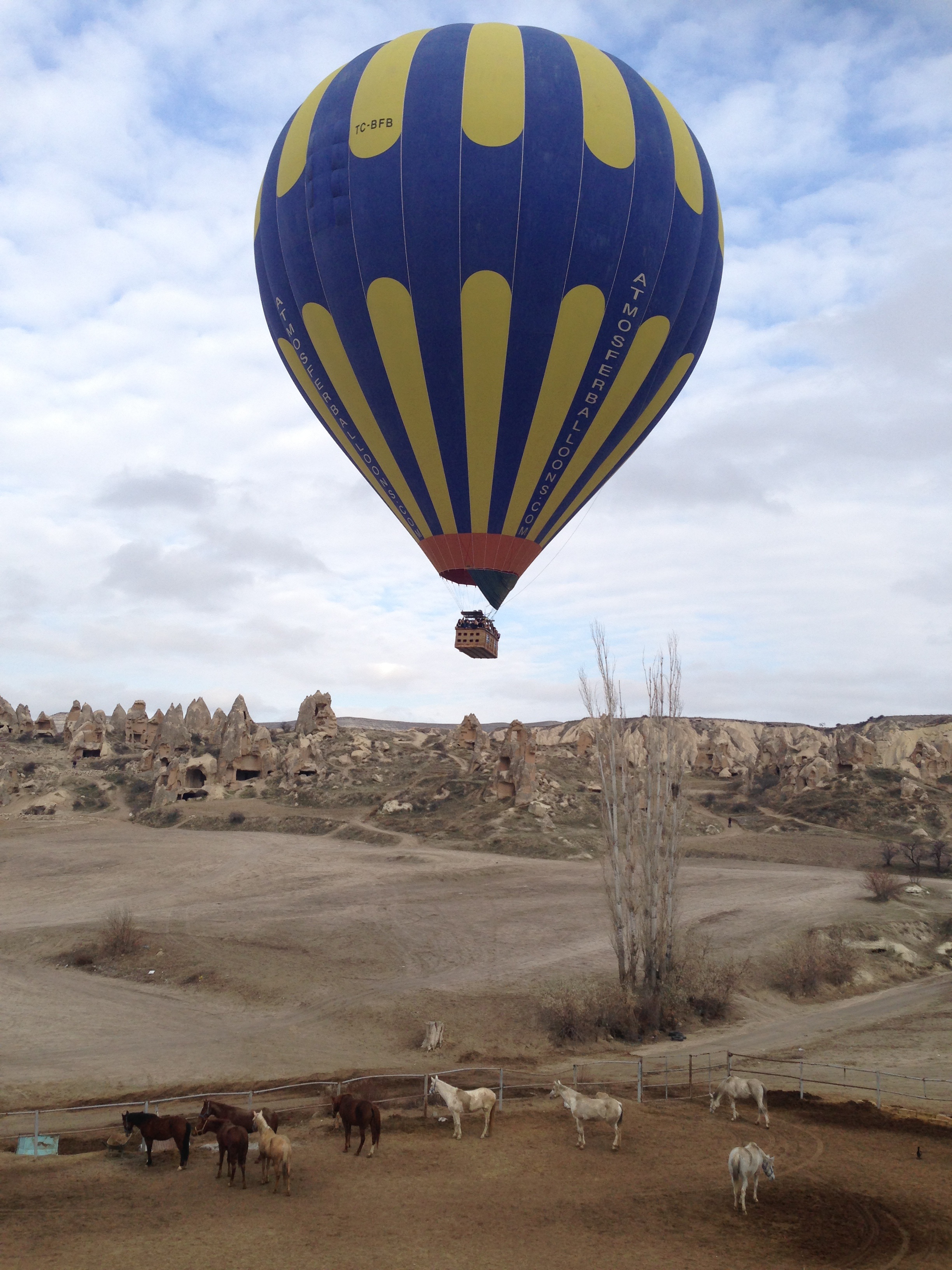 Balloon at flight free image download
