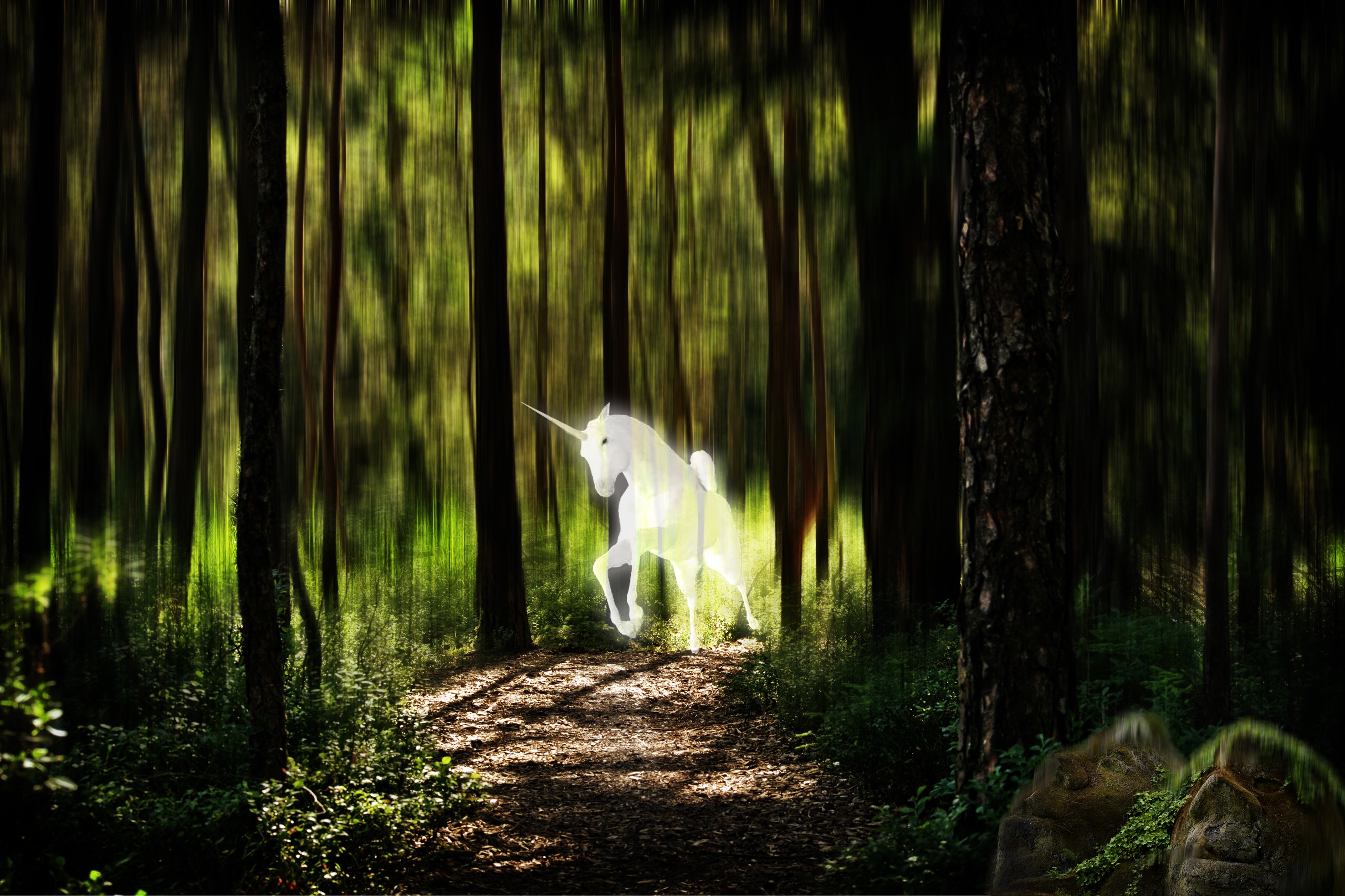 Unicorn Forest Fantasy Picture free image download