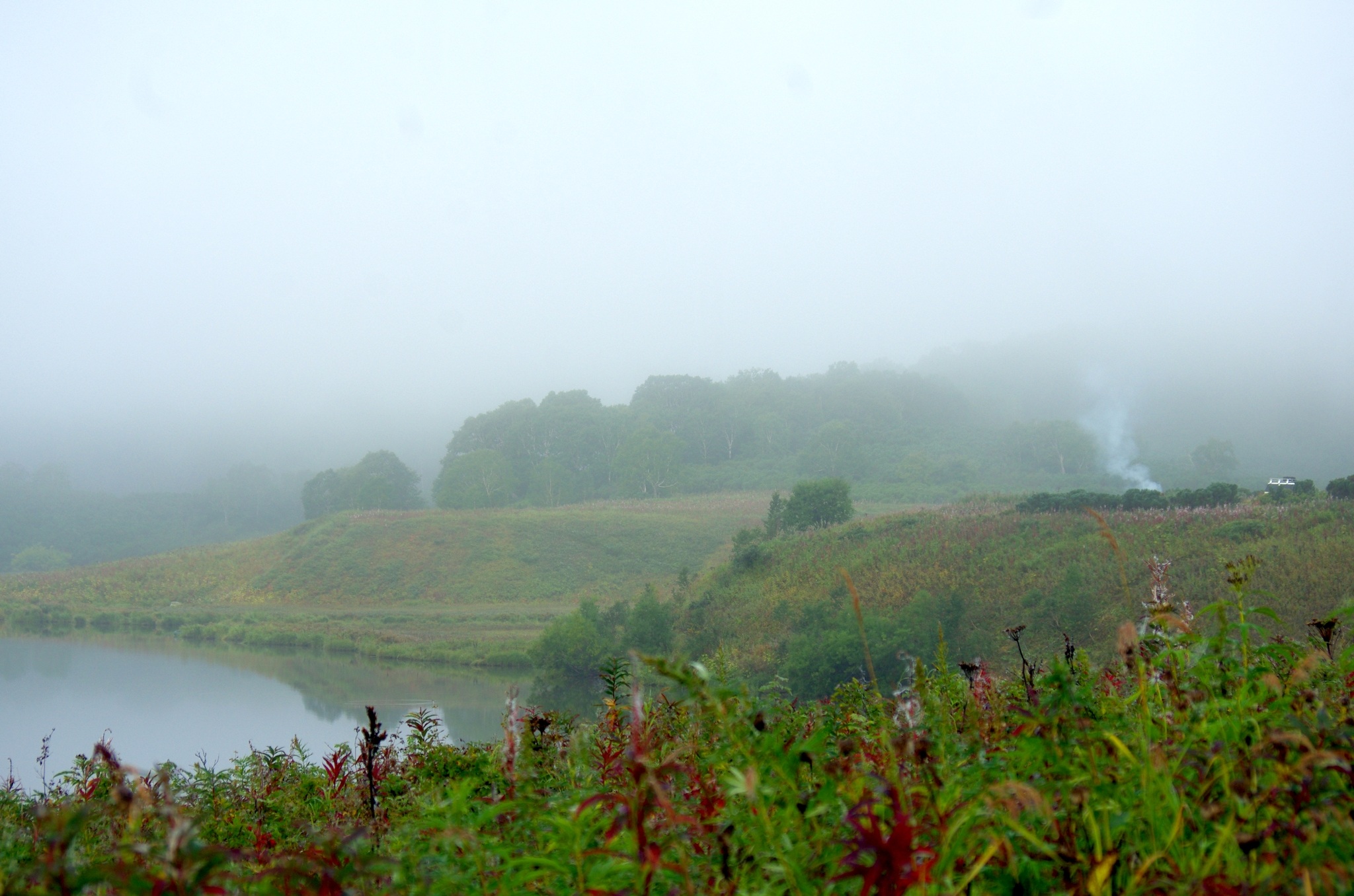 Morning Foggy Lake free image download