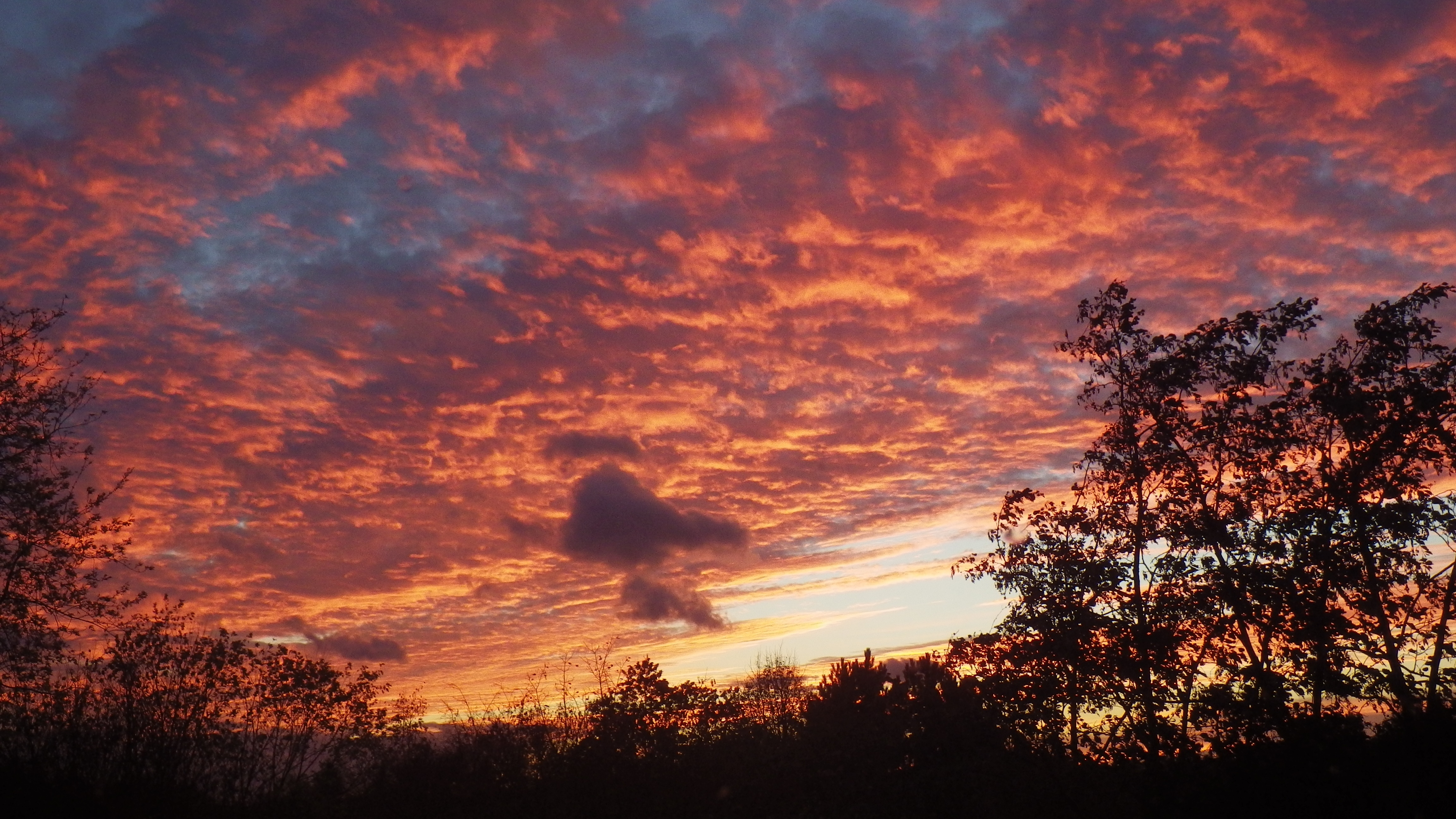 Sky Clouds Evening Sun free image download