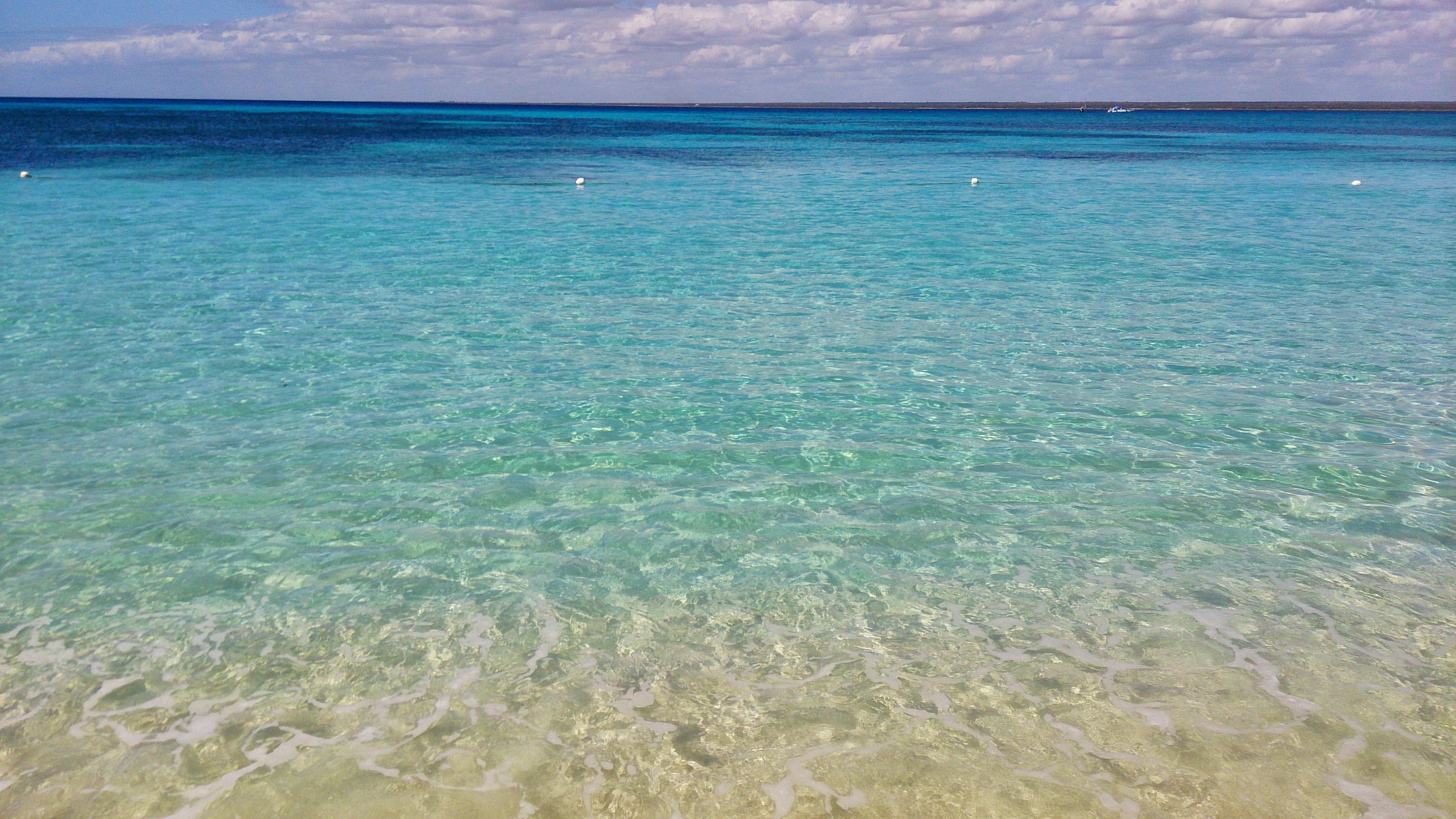 Sea Caribbean Ocean free image download