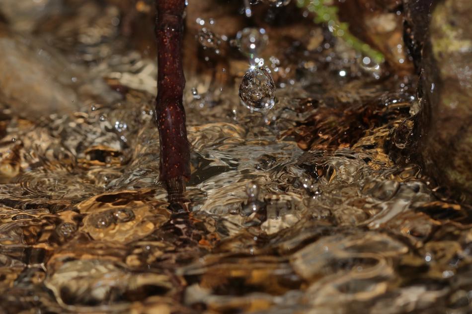 Drop Of Water Spray free image download