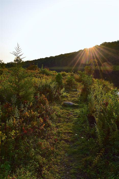 Trail Park Outdoor free image download