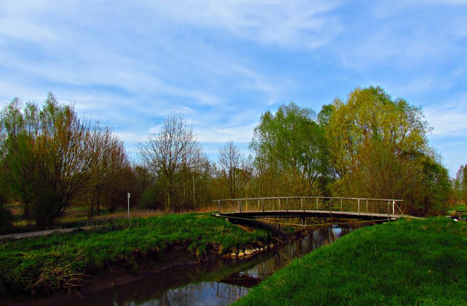 Water Brook Field The free image download