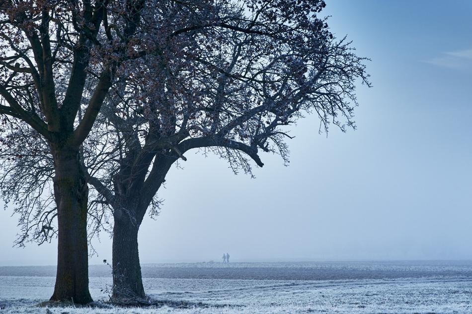 Blue Cold Winter free image download