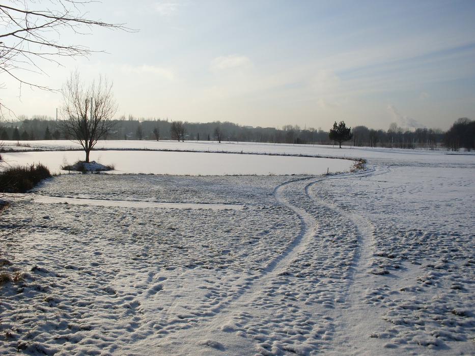 Winter Snow Lake free image download