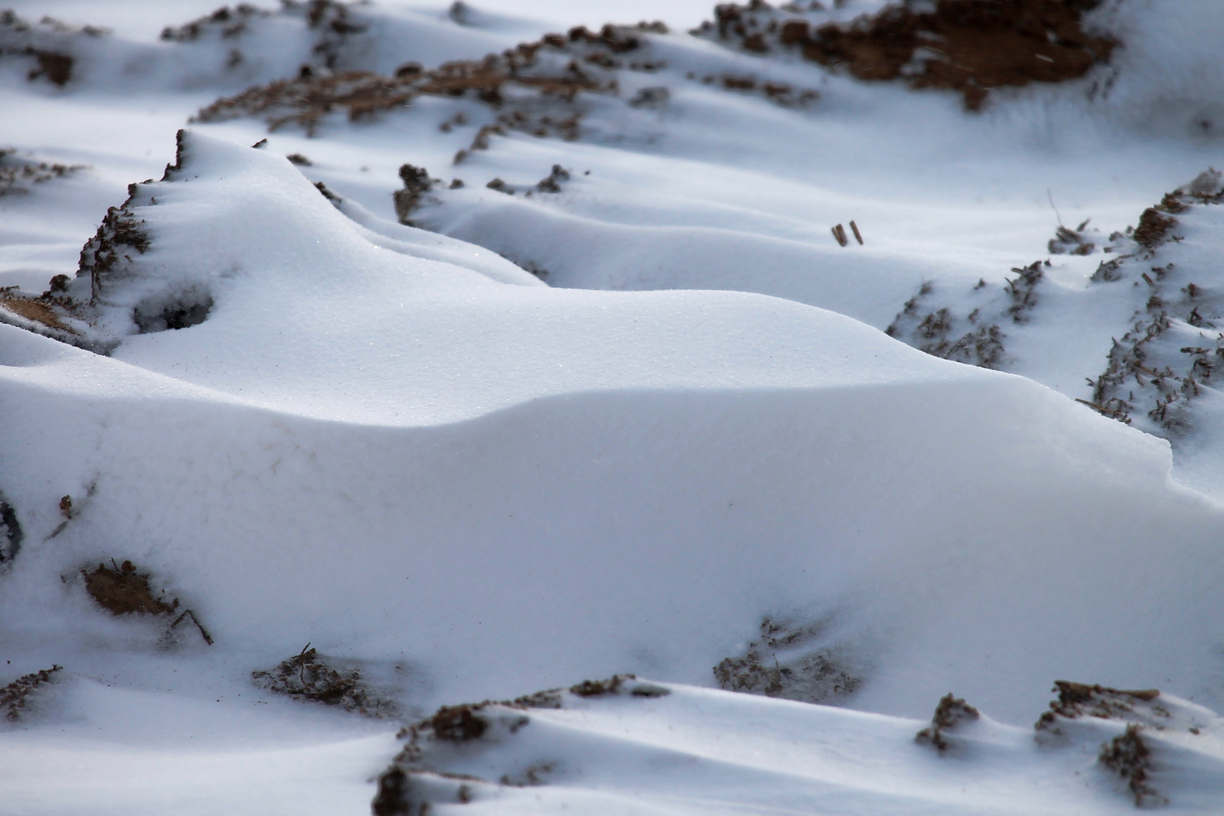 Snow Winter Cold free image download
