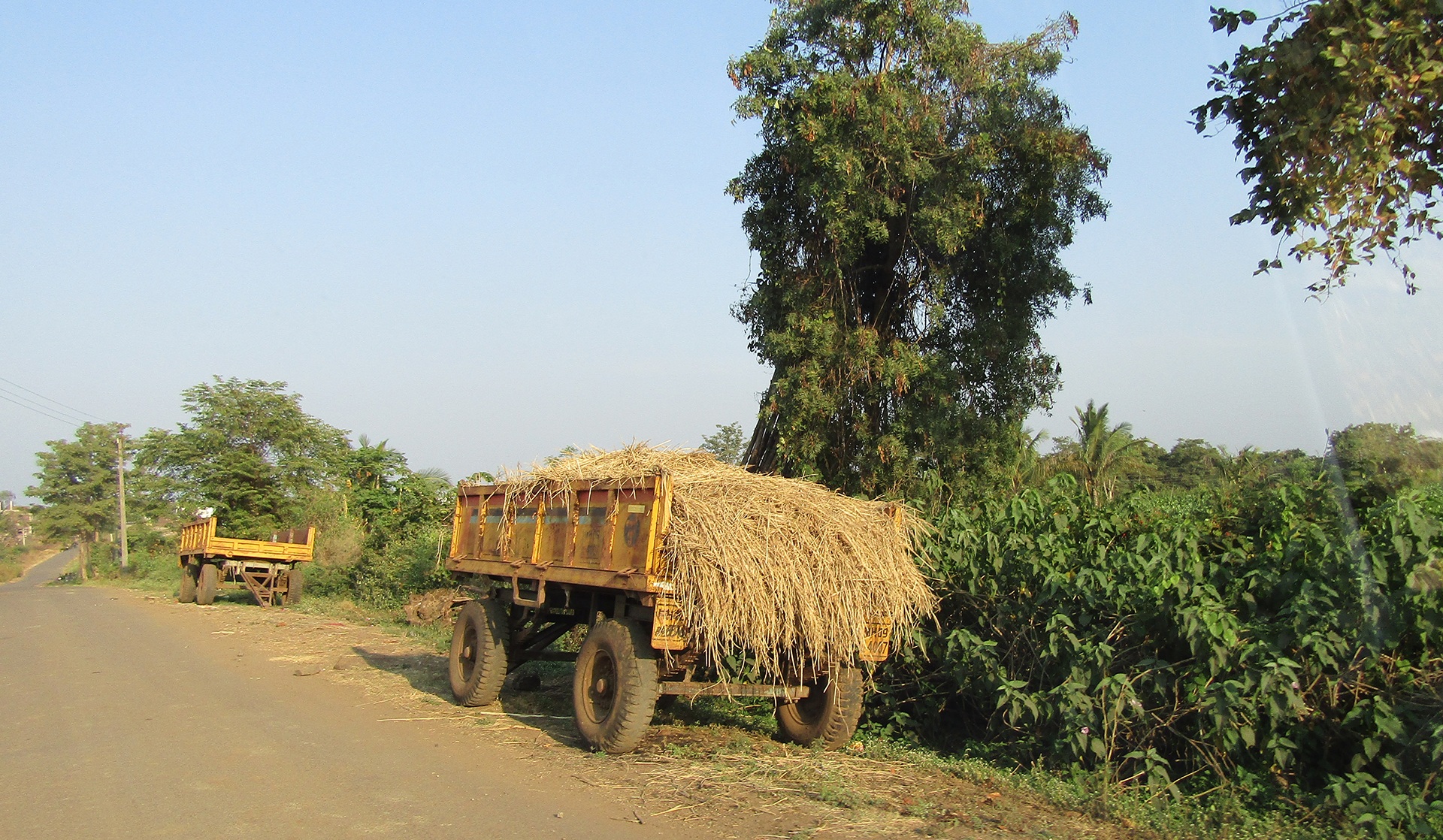 Agriculture Nature Farm free image download