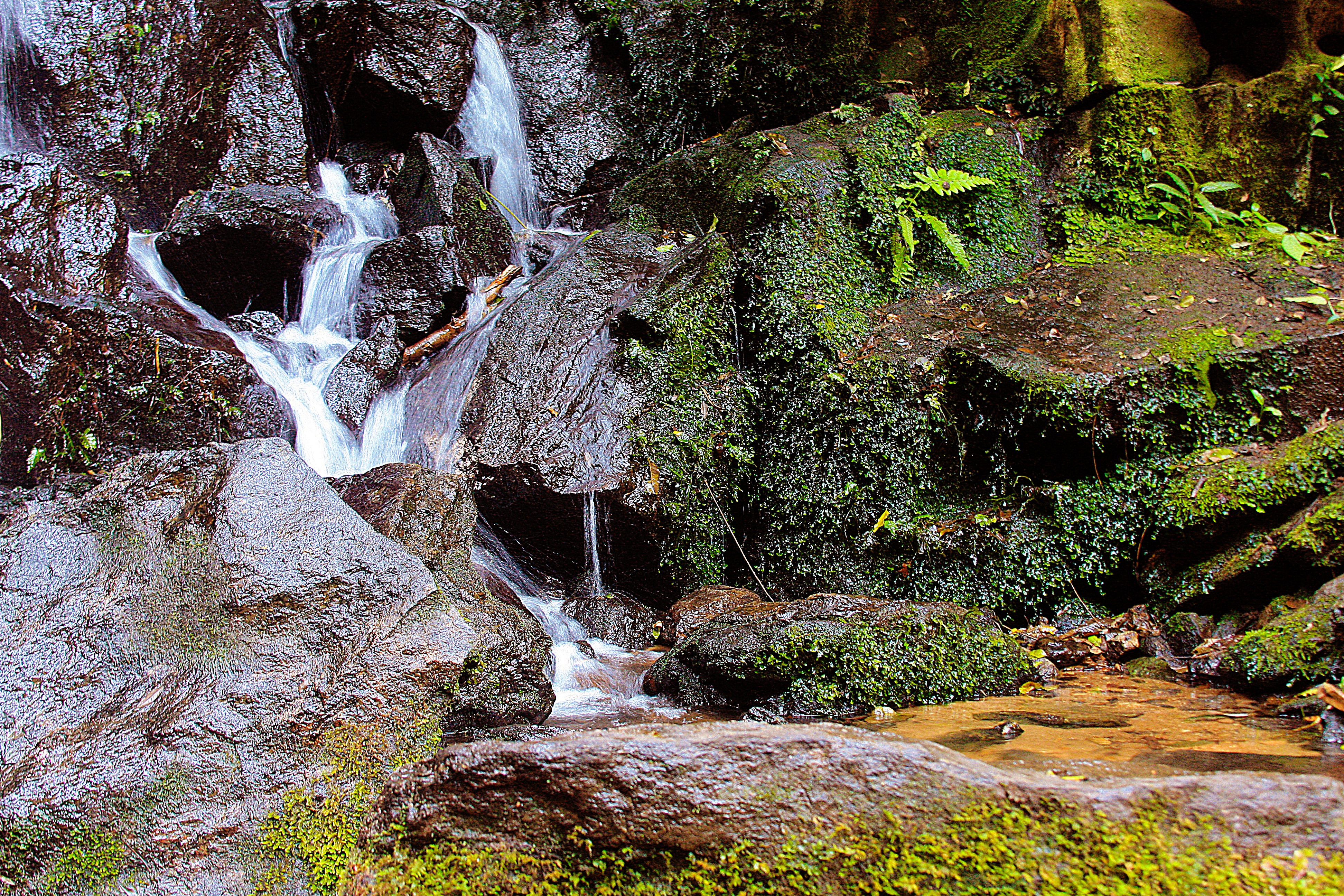 Waterfall Nature Cascade free image download