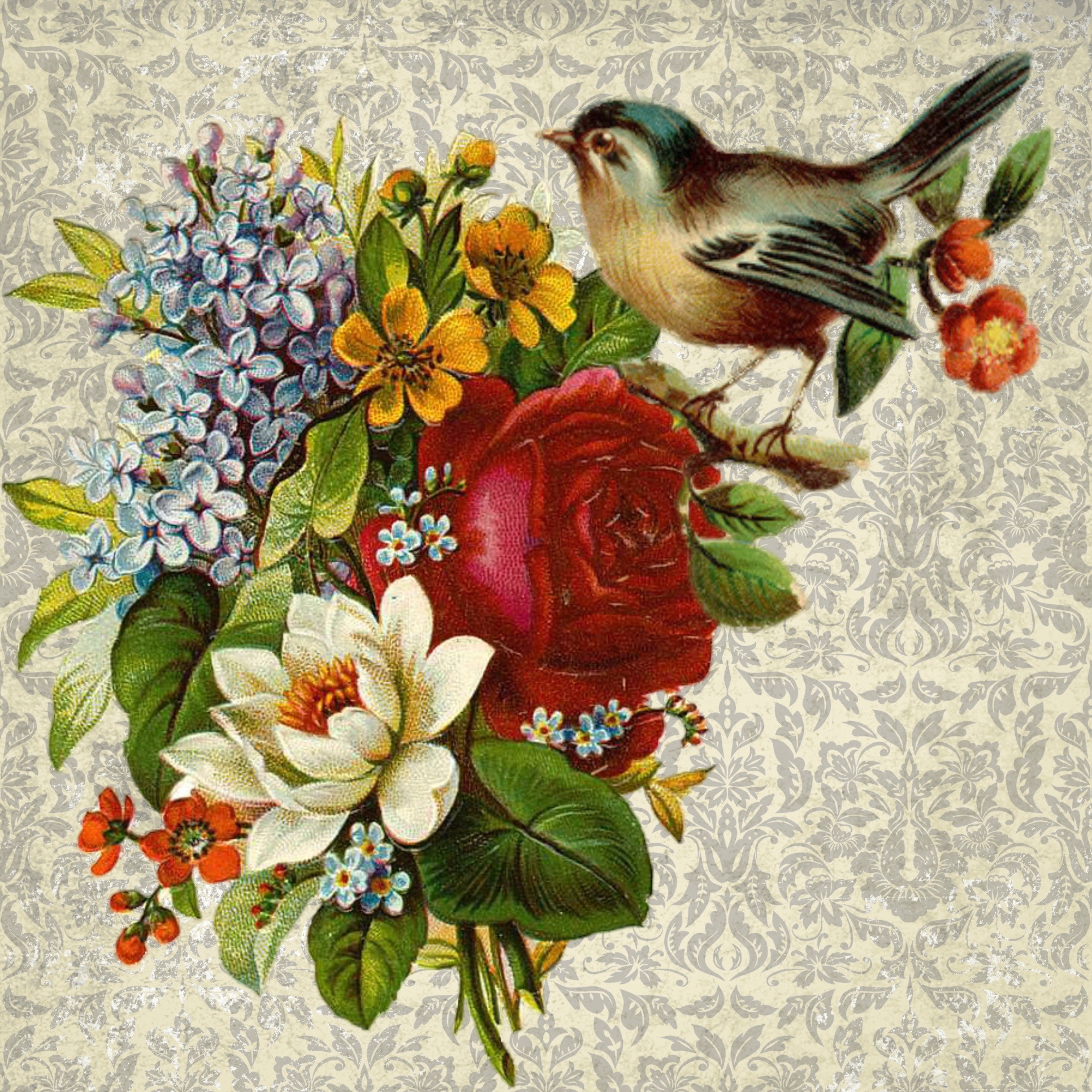 Flower bird collage animal free image download