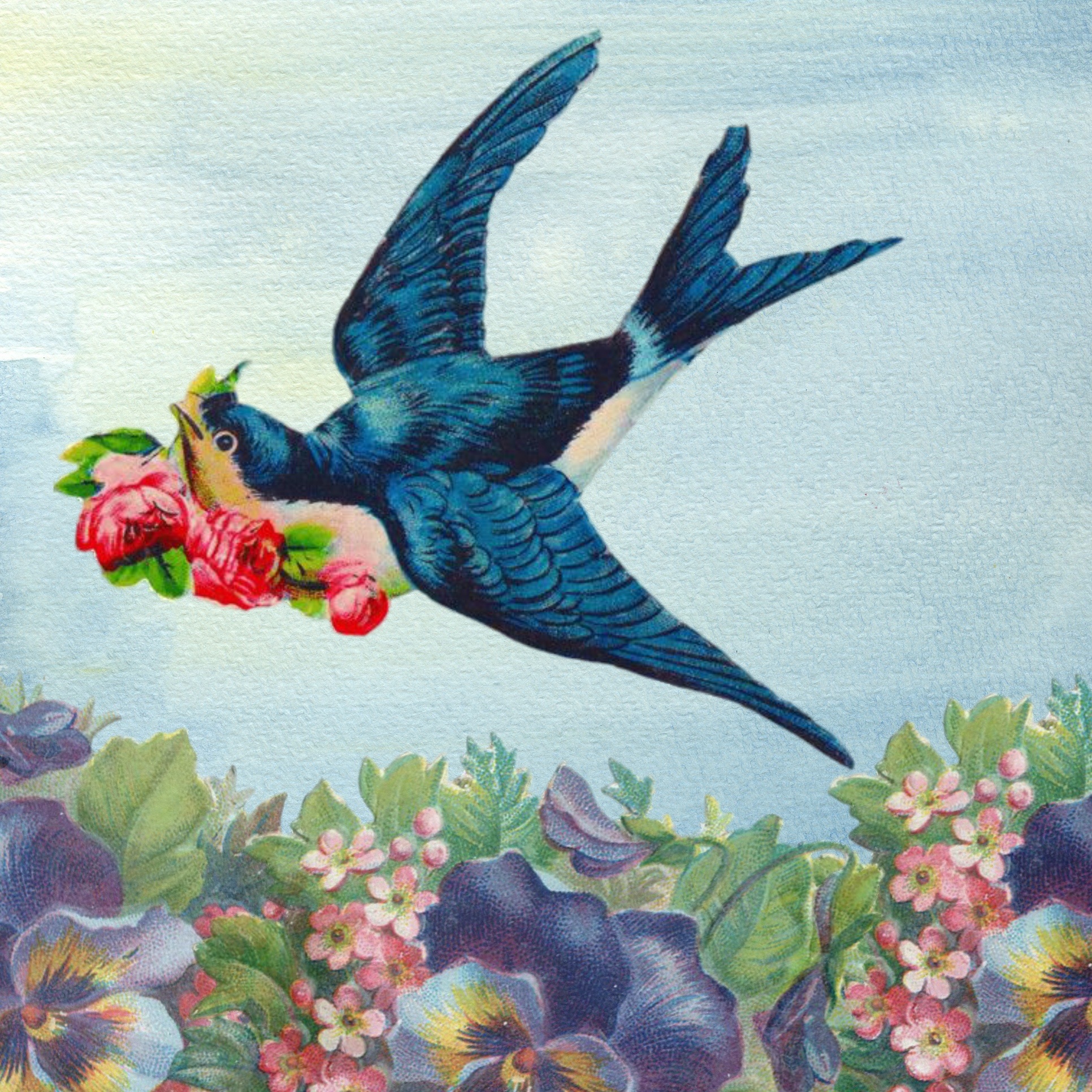 Flower bird collage animal free image download