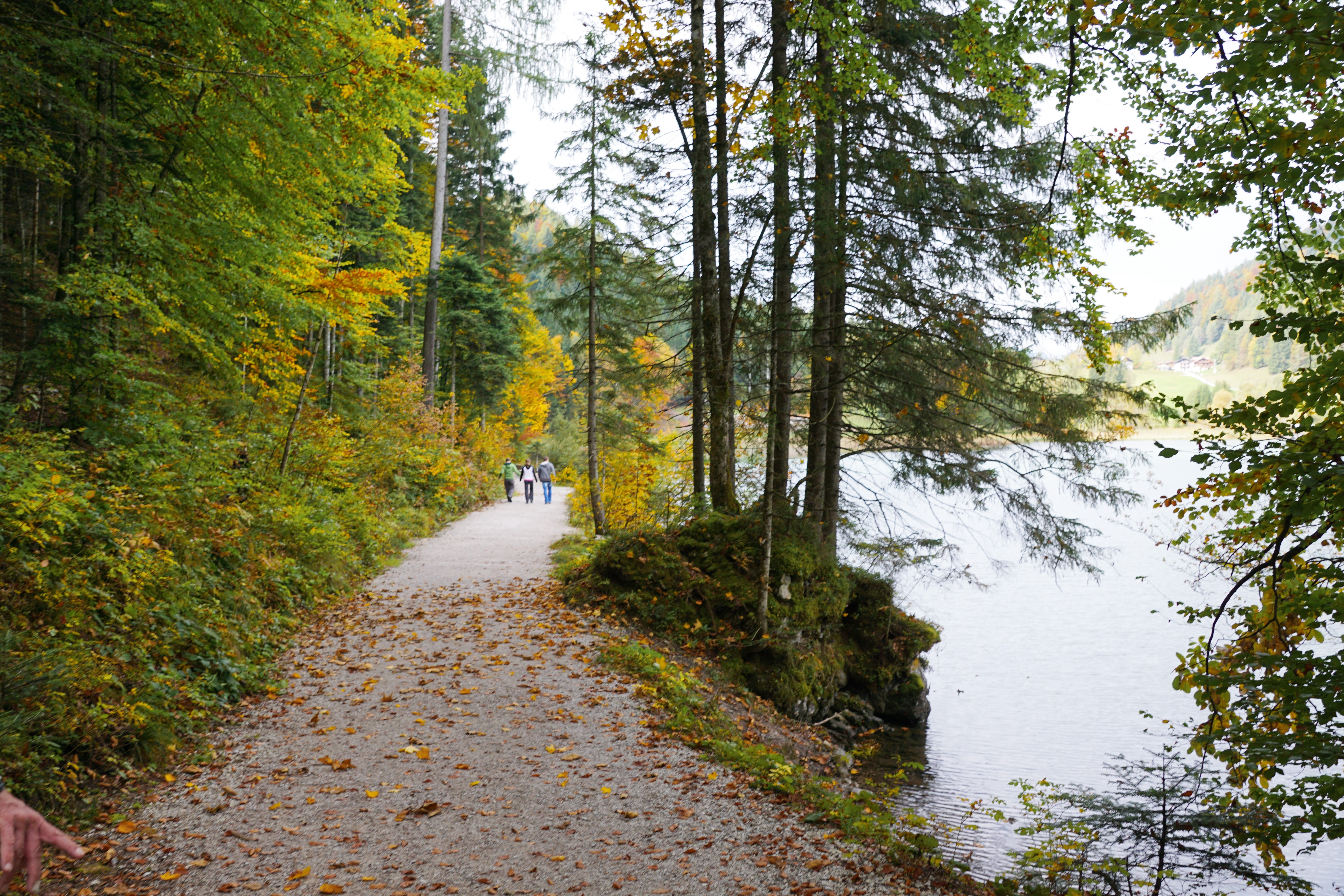 Ellmau Scheffau Austria free image download